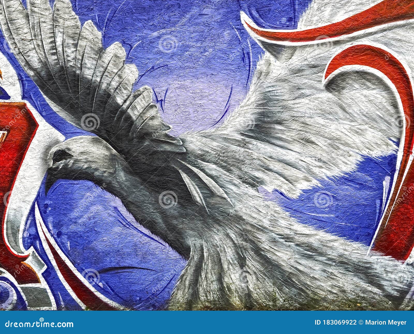 Graffiti of a Flying Seagull with Spread Wings Editorial Photography ...