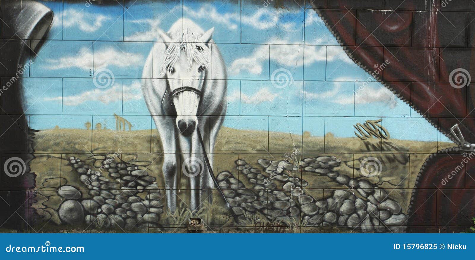 Graffiti horse editorial image. Image of masterpiece - 15796825