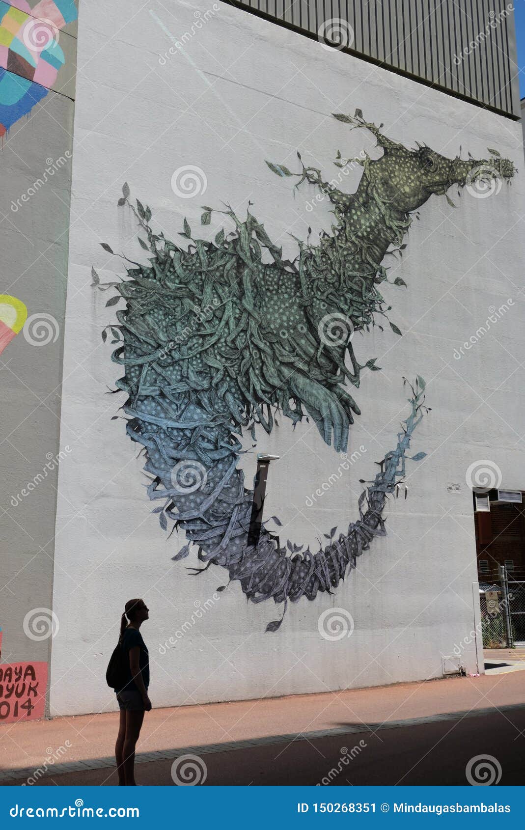 Graffiti Hunter on Sunny Day in Perth Editorial Photo - Image of shadow ...