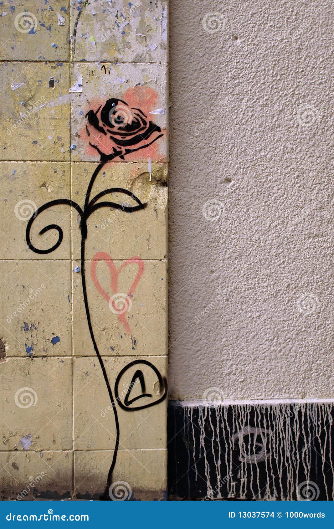 Graffiti Rose stock photo. Image of culture, pink, grungy - 13037574