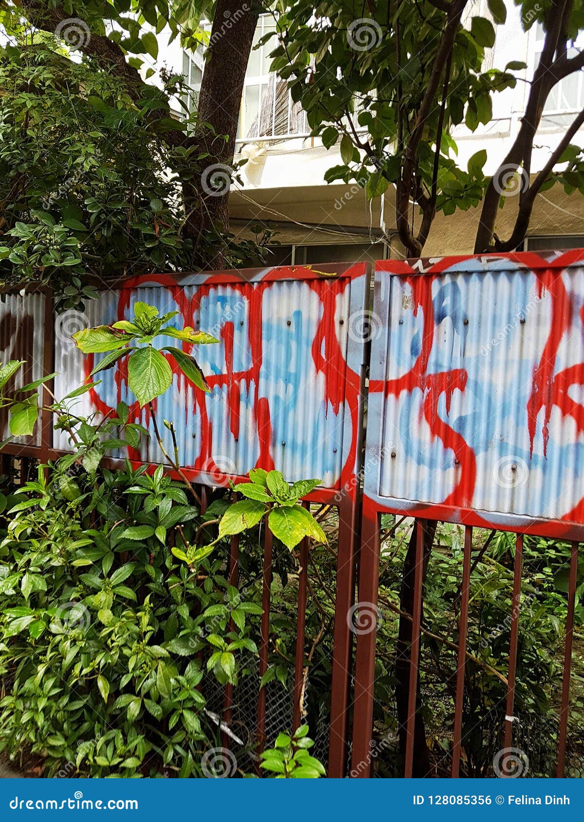 Graffiti stock photo. Image of graffiti, street, vines - 128085356