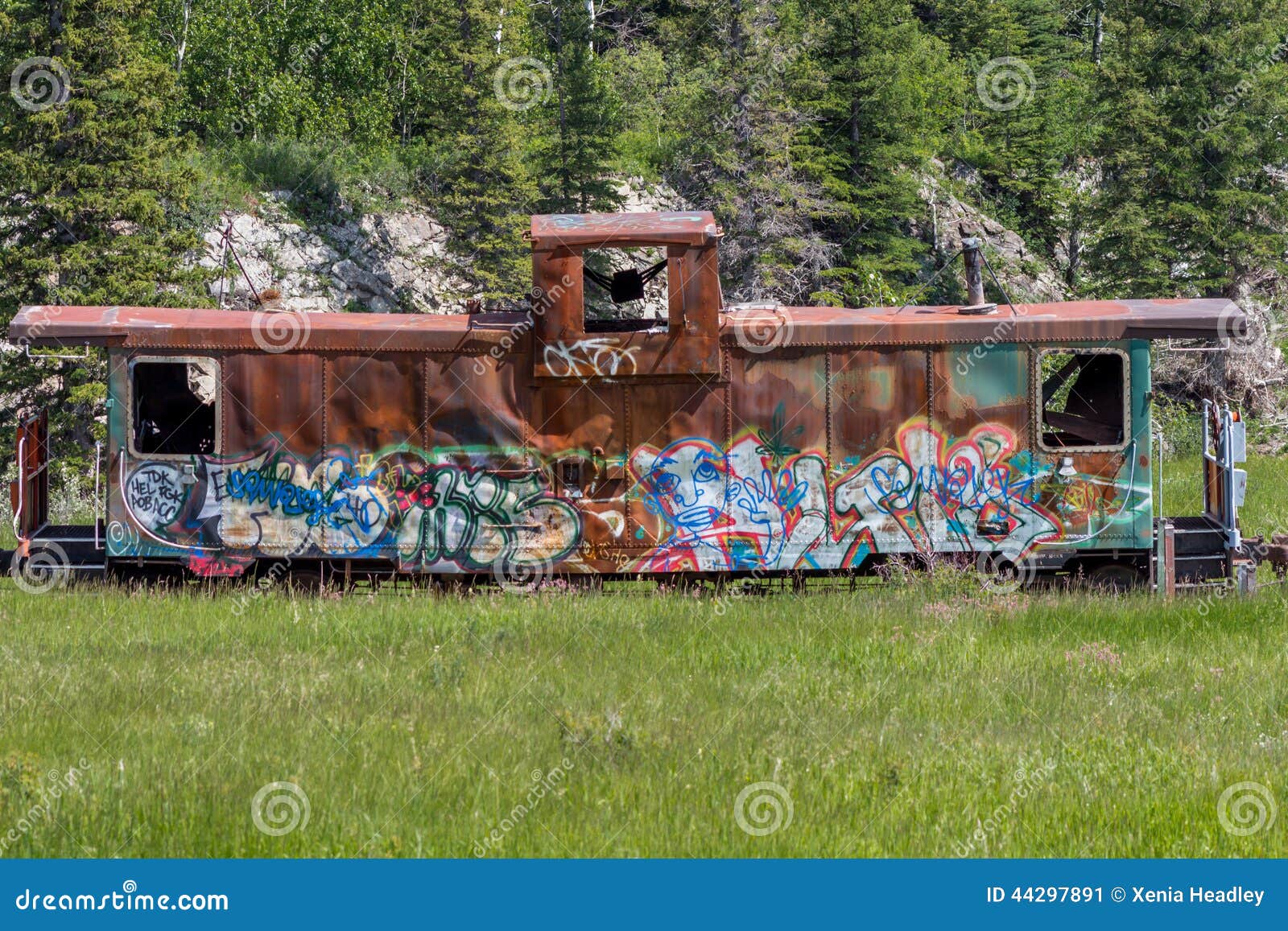 Graffiti Train stock image. Image of abandoned, vandalism - 44297891