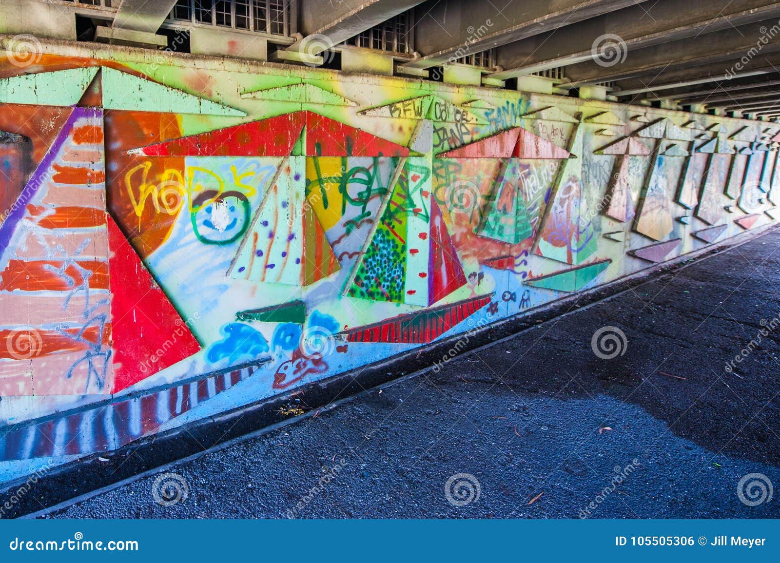 Graffiti under a bridge editorial photo. Image of radical - 105505306