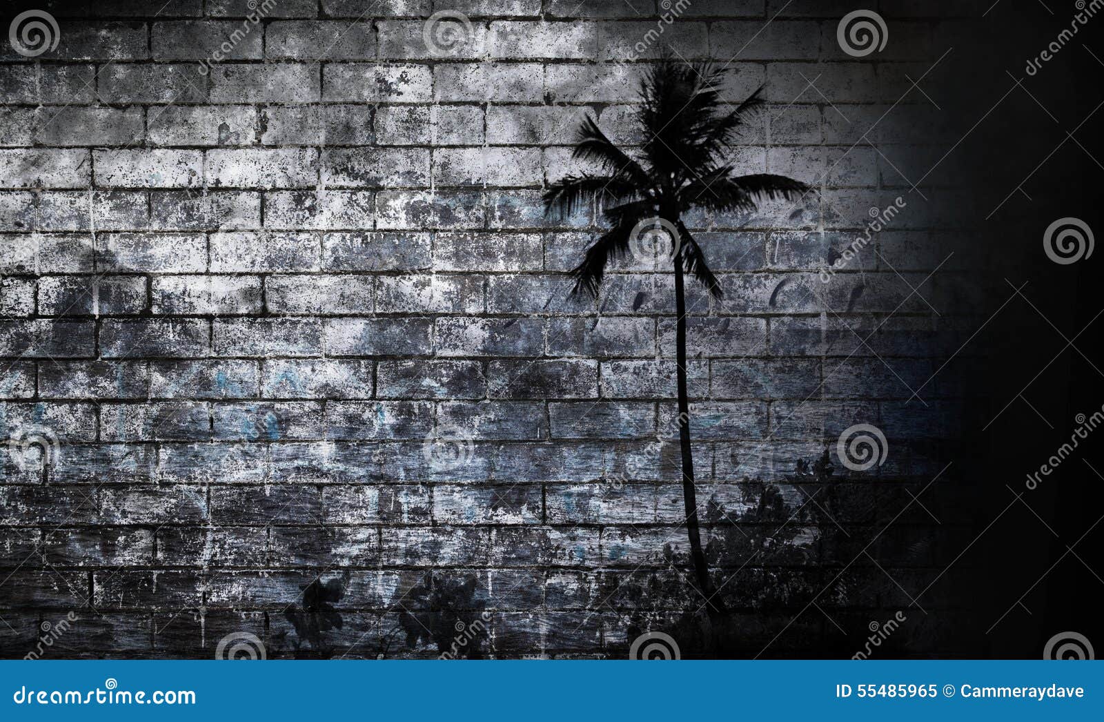 Graffiti Wall Palm Tree Background Stock Image - Image of paint, brick ...