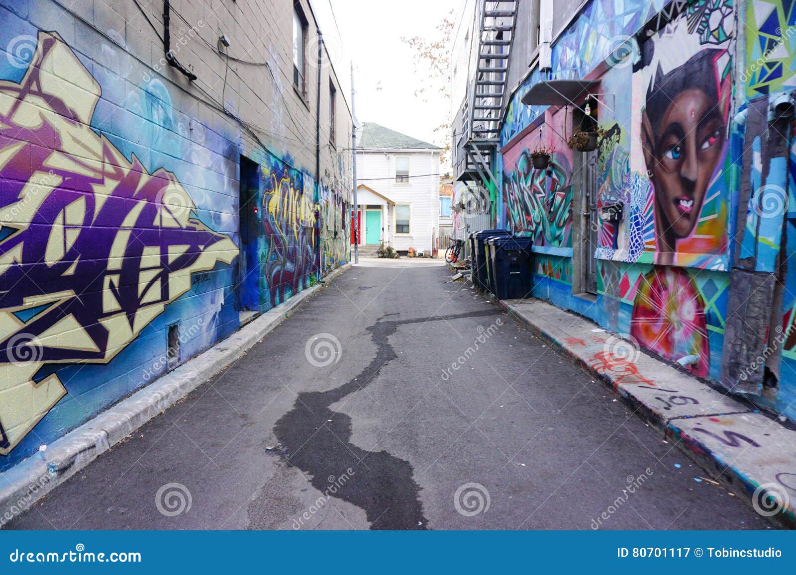 Graffiti on Walls in an Alleyway Editorial Photography - Image of cool ...