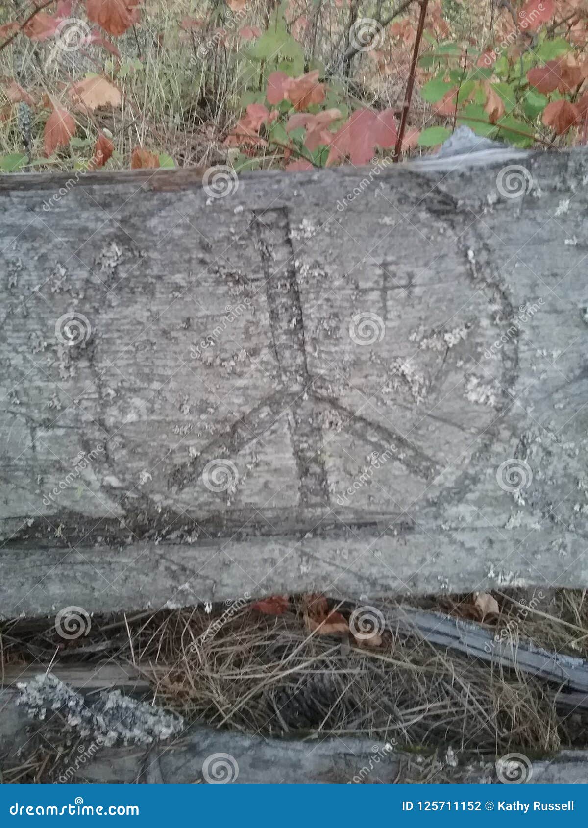 Peace sign stock photo. Image of peace, graffiti, wood - 125711152