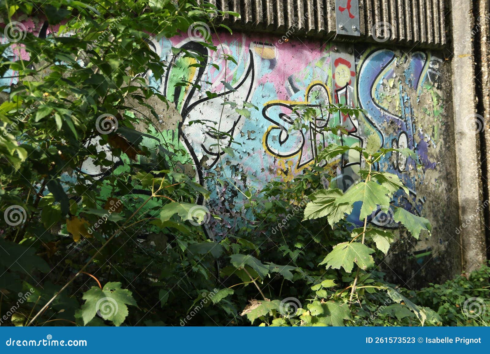 Graffitis on a Wall at the Edge of a Forest Stock Image - Image of ...