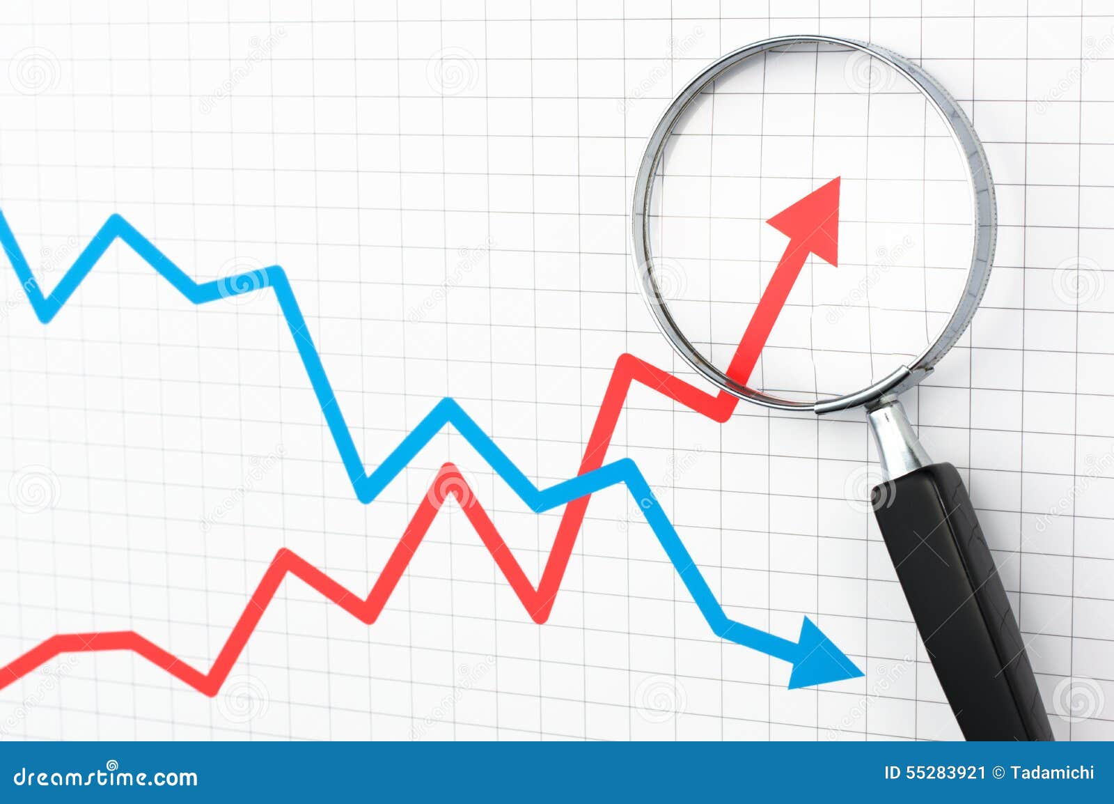 Grafico Lineare E Lente D'ingrandimento Immagine Stock - Immagine di ...