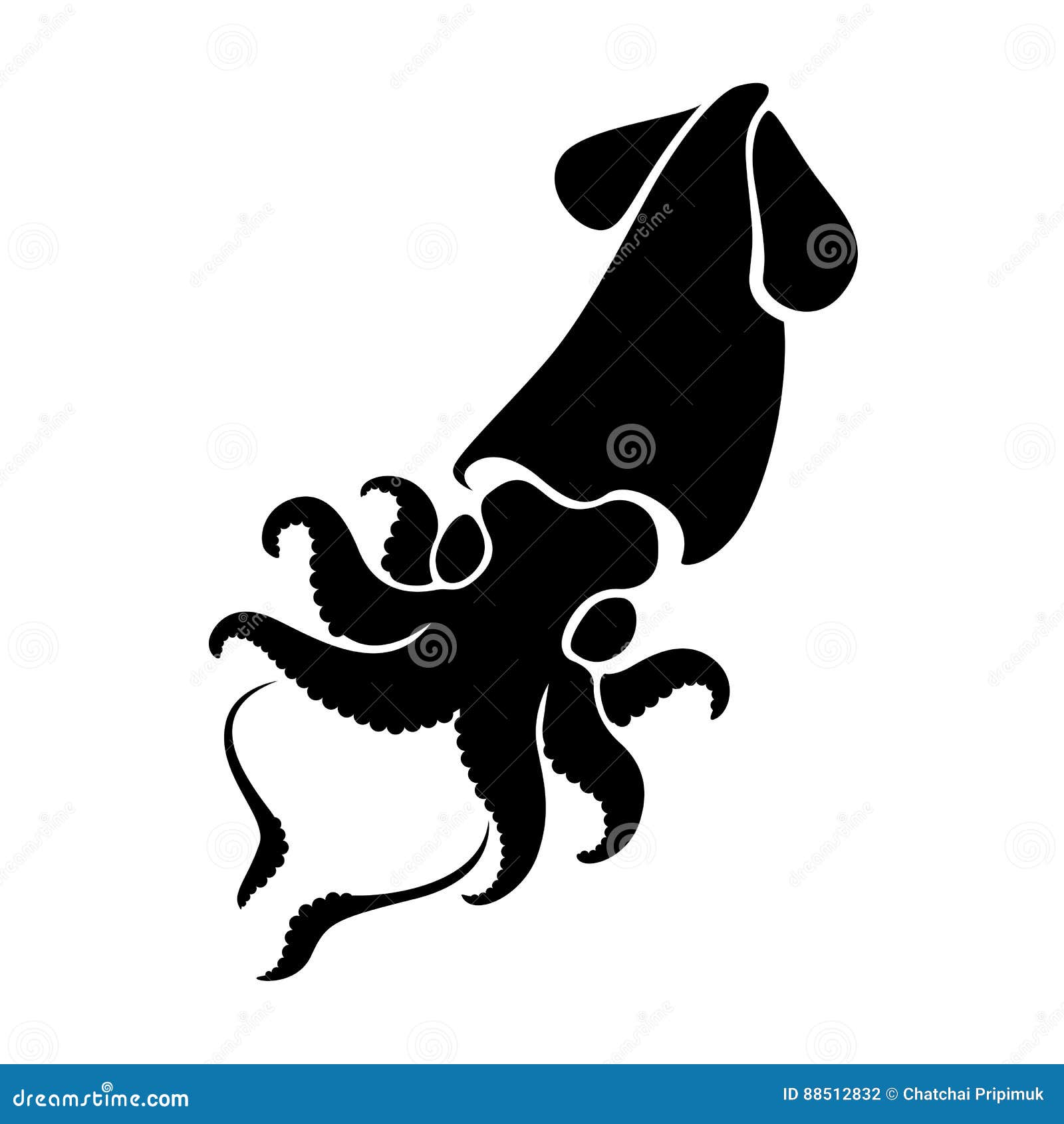 Grafische Pijlinktvis, Vector Vector Illustratie - Illustration of trek ...