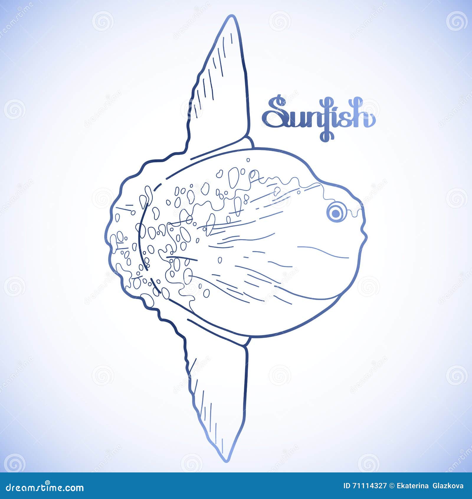 Grafische vector sunfish vector illustratie. Illustration of leven ...