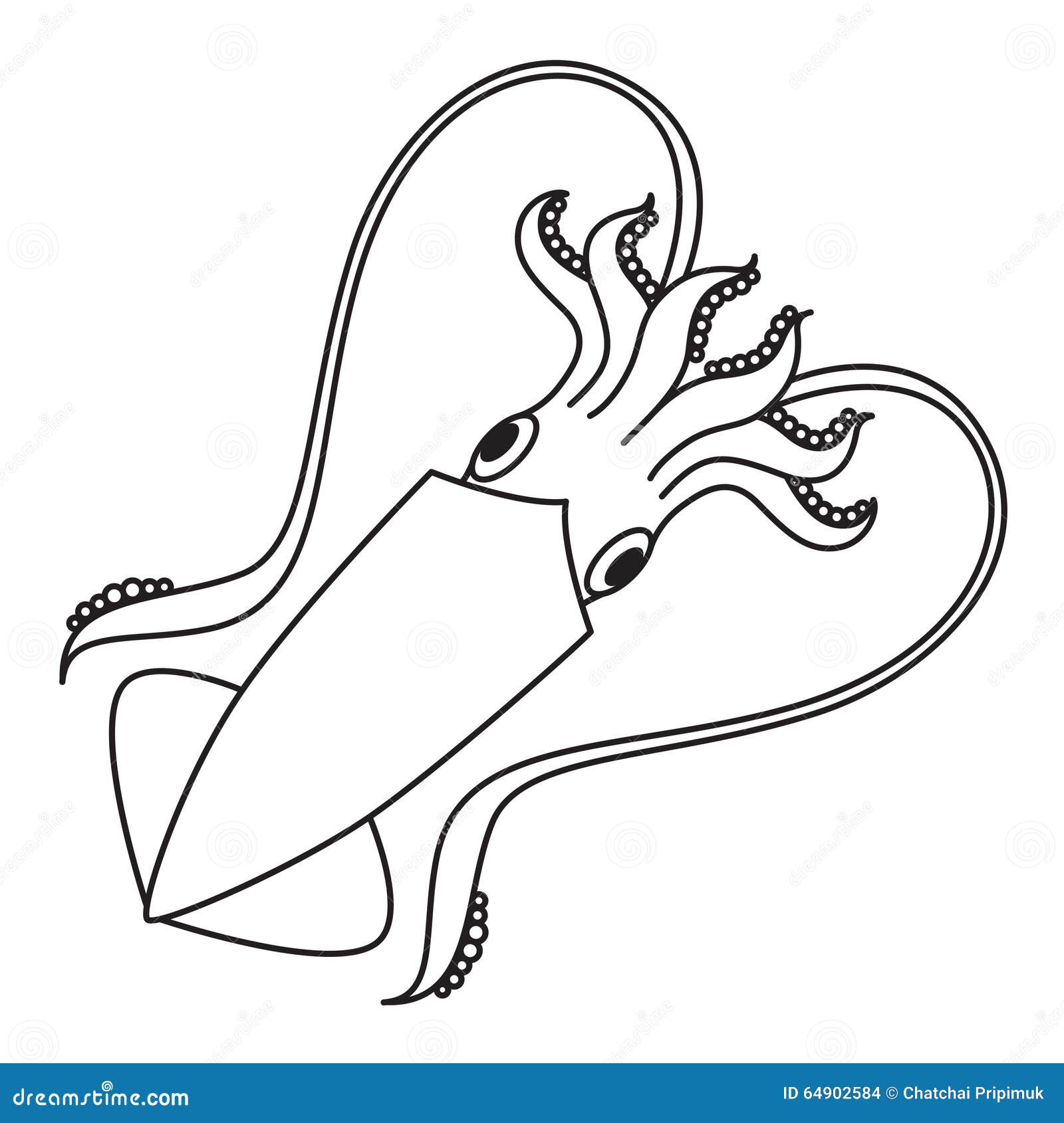 Grafischer Kalmar, Vektor vektor abbildung. Illustration von fischen ...