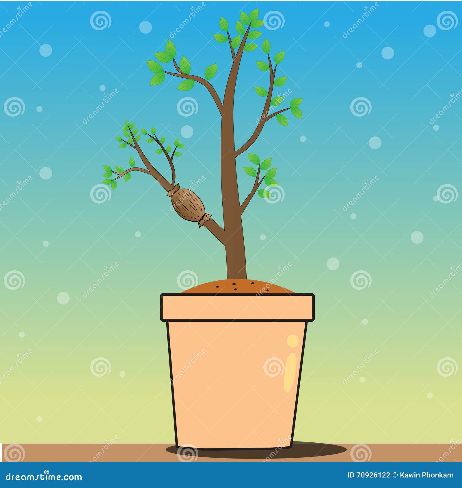 The graft plants stock vector. Illustration of reproduction - 70926122