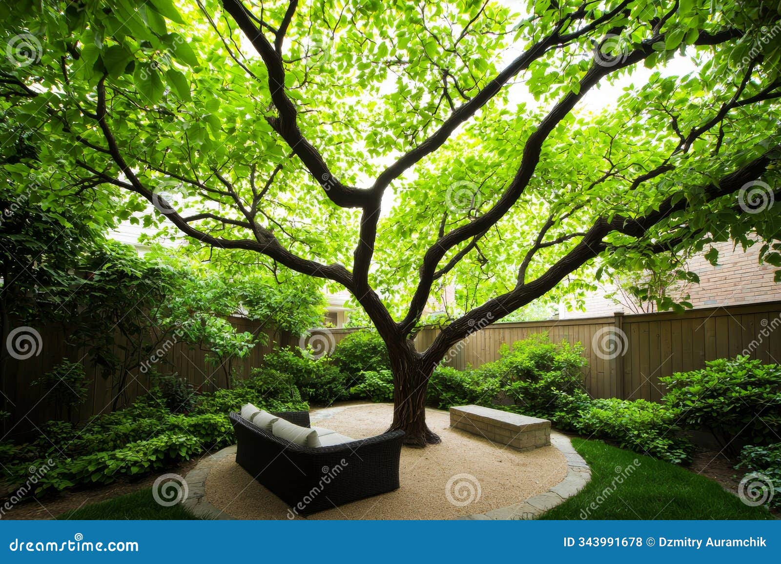 It is a Grafted Tree, Whose Branches Flourish As Old and New Grow ...