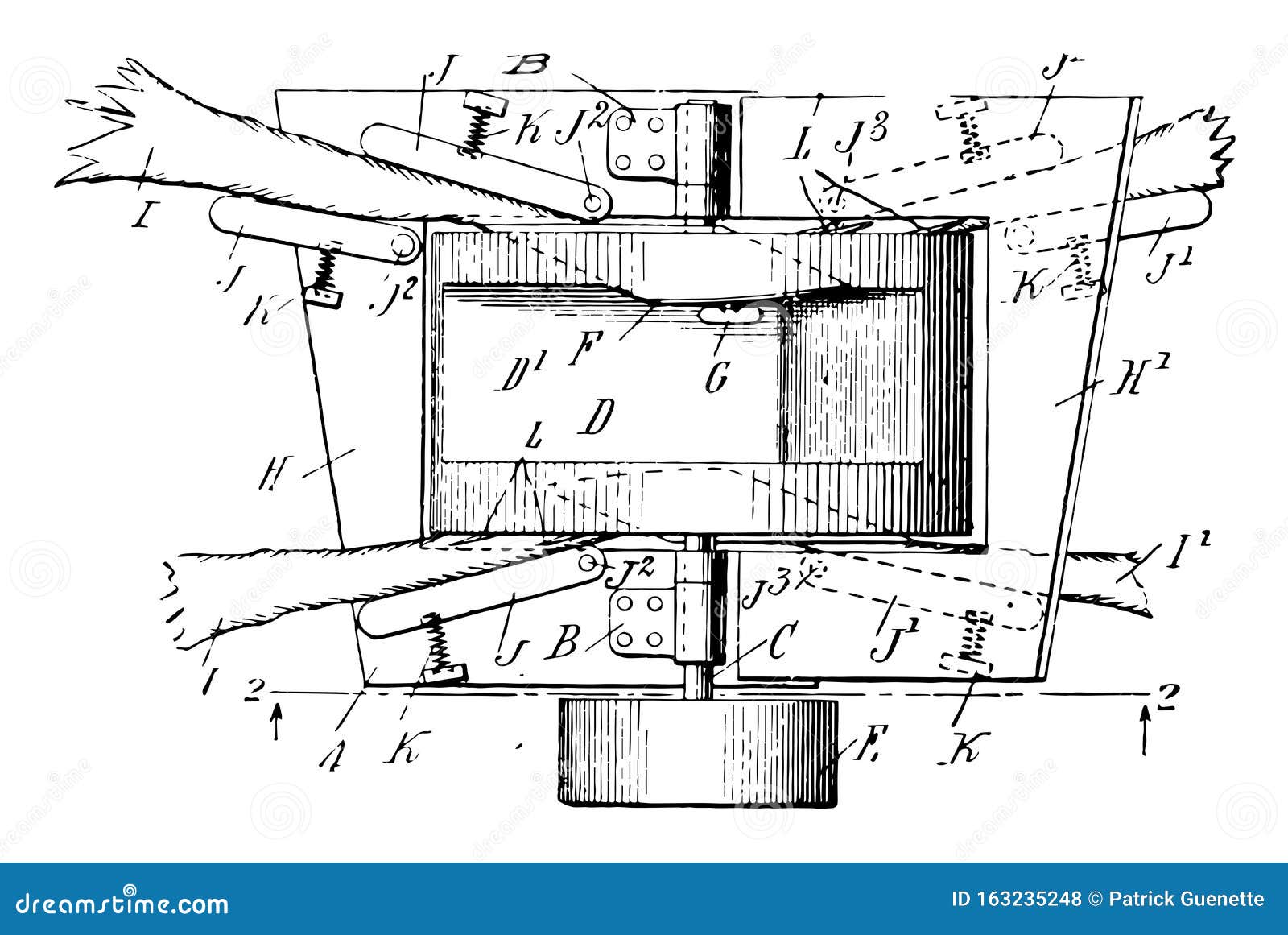 Trees Grafting Methods Infographics Royalty-Free Stock Photography ...