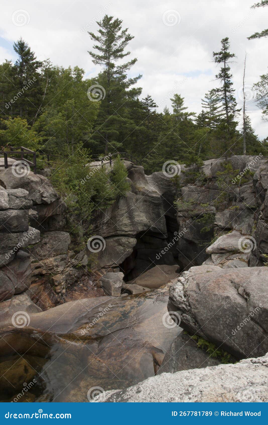 Grafton Notch State Park, Maine in Summer Stock Image - Image of ...
