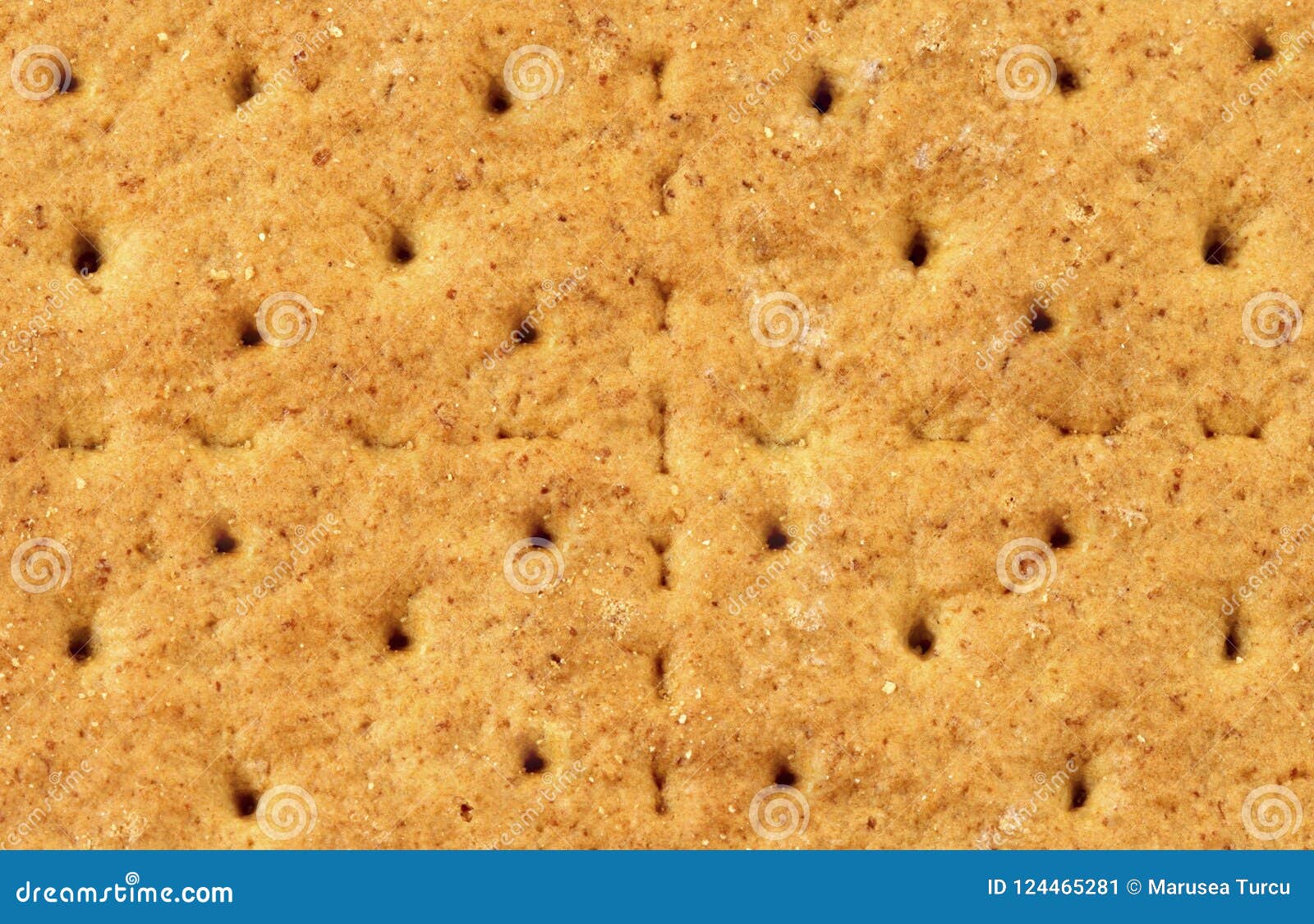 Biscuit Texture