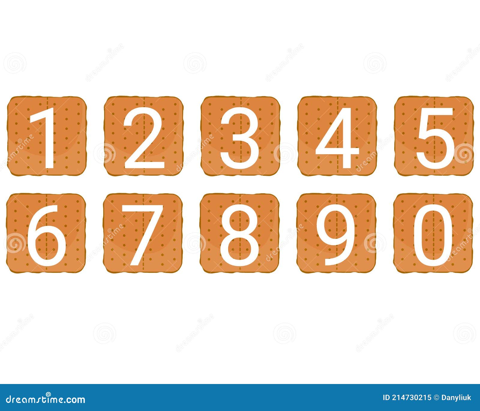 Graham Cracker Isolated on White Stock Vector - Illustration of crisp ...