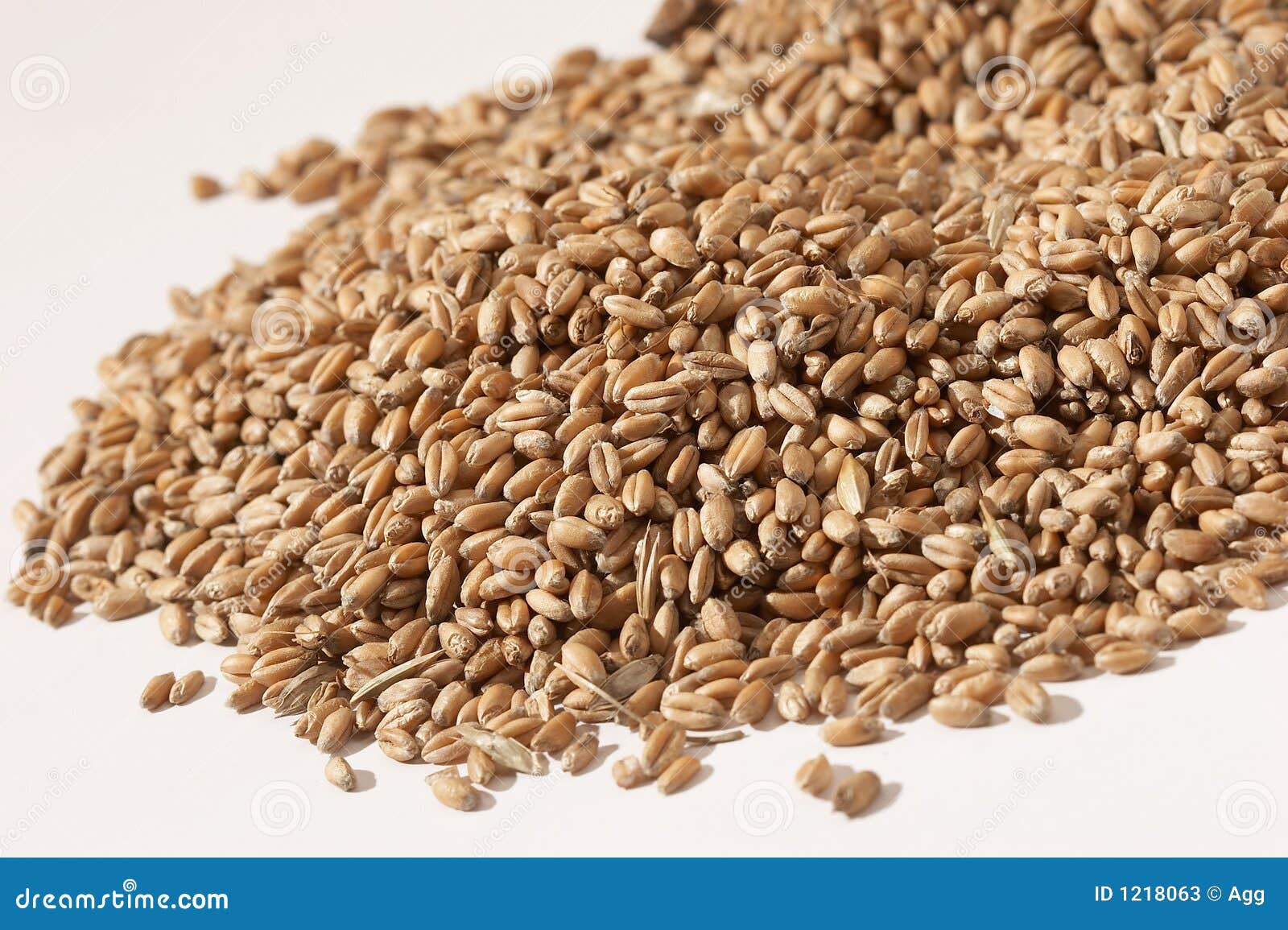 Grain stock image. Image of wholesome, closeup, protein - 1218063