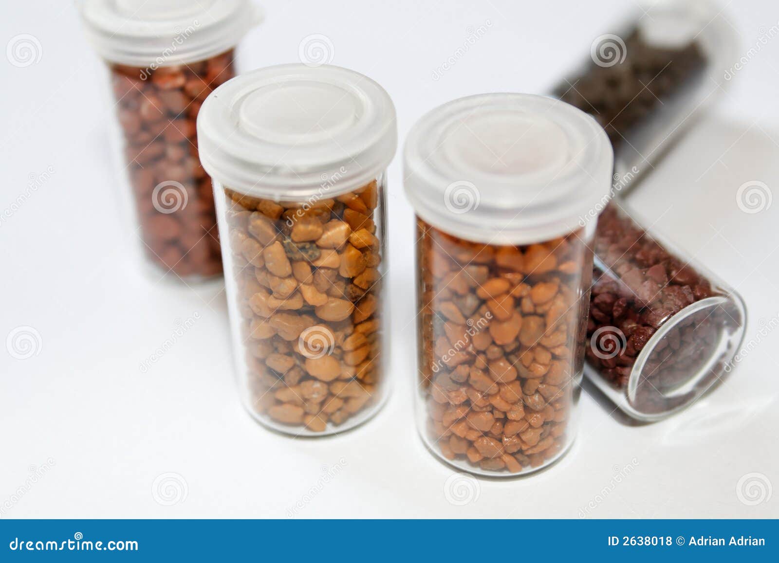 Grain stock photo. Image of research, test, isolated, science - 2638018