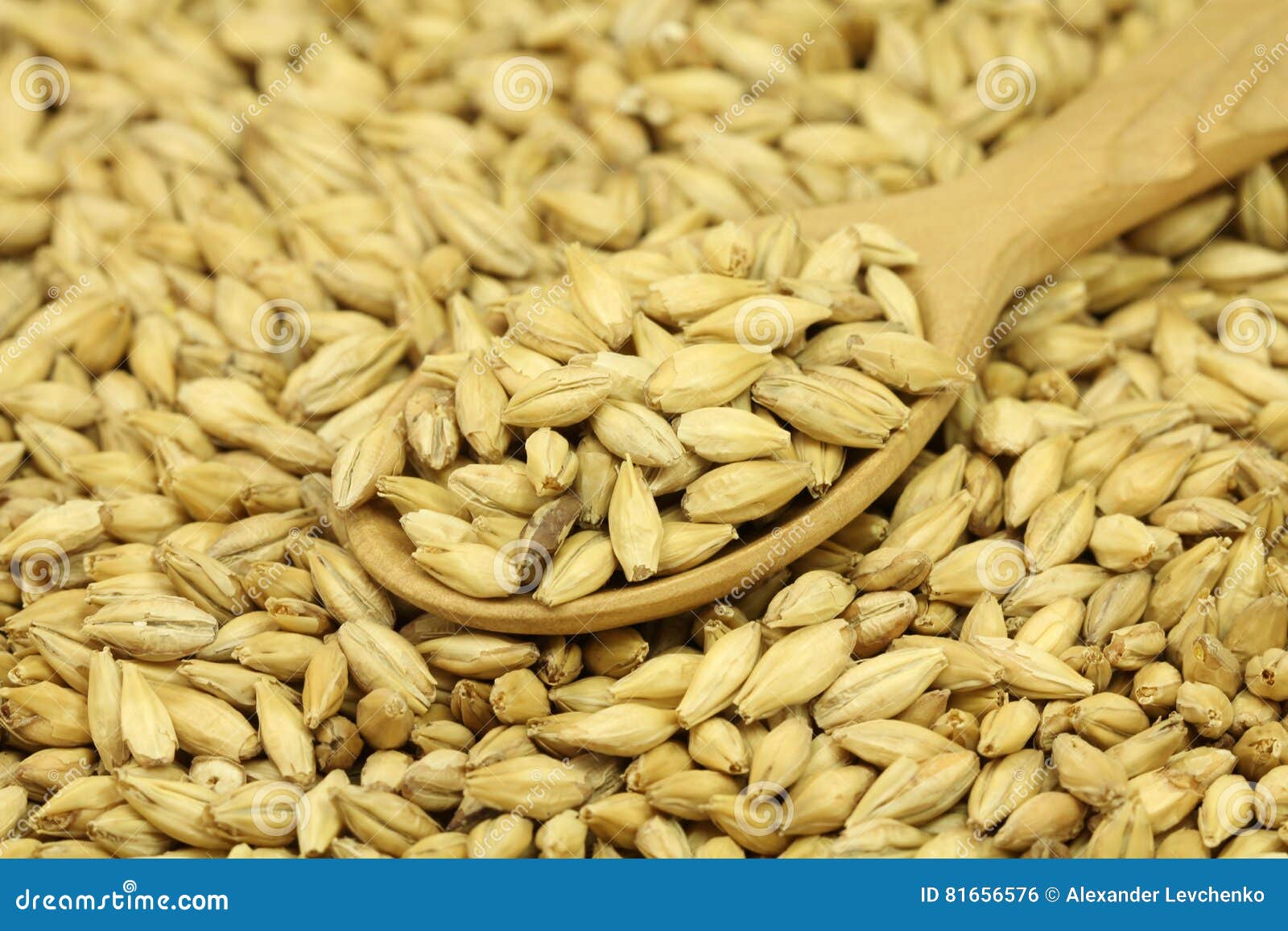 Grain Barley Malt in a Wooden Spoon Stock Photo - Image of abstraction ...