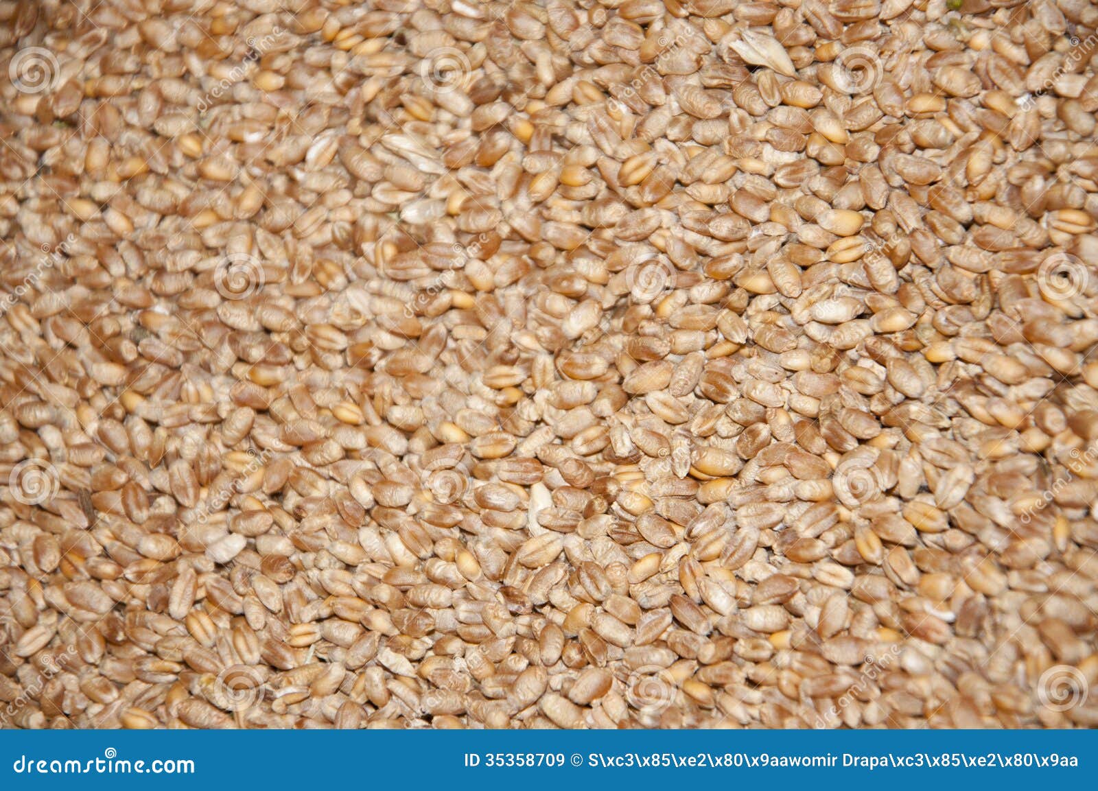 Grain stock image. Image of grain, bean, particle, granule - 35358709