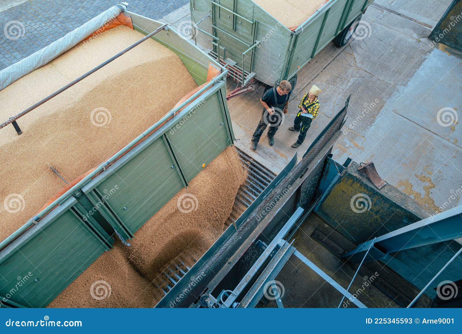 Grain Being Brought by Tractor To the Storage or Granary Stock Image ...