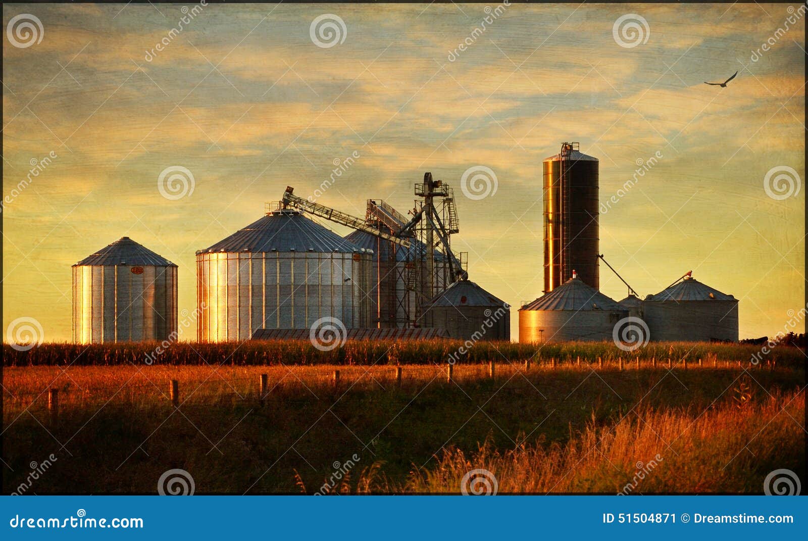 Grain bins stock image. Image of sides, steel, rays, industry - 51504871