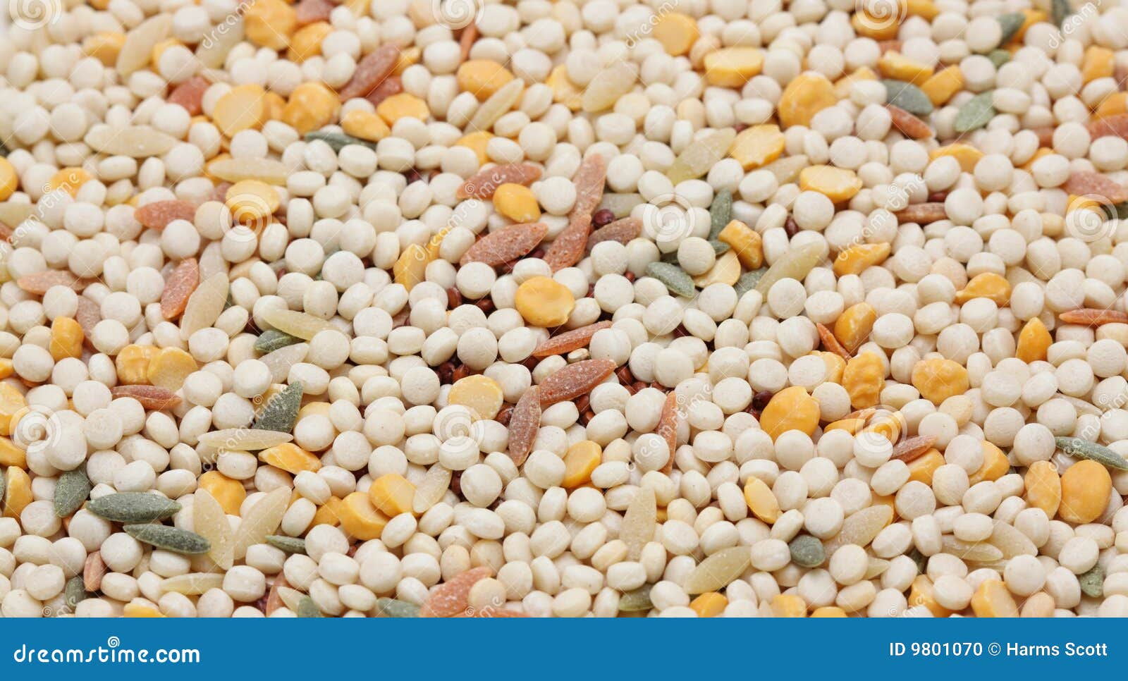 Grain blend stock photo. Image of organic, meal, nutrition - 9801070