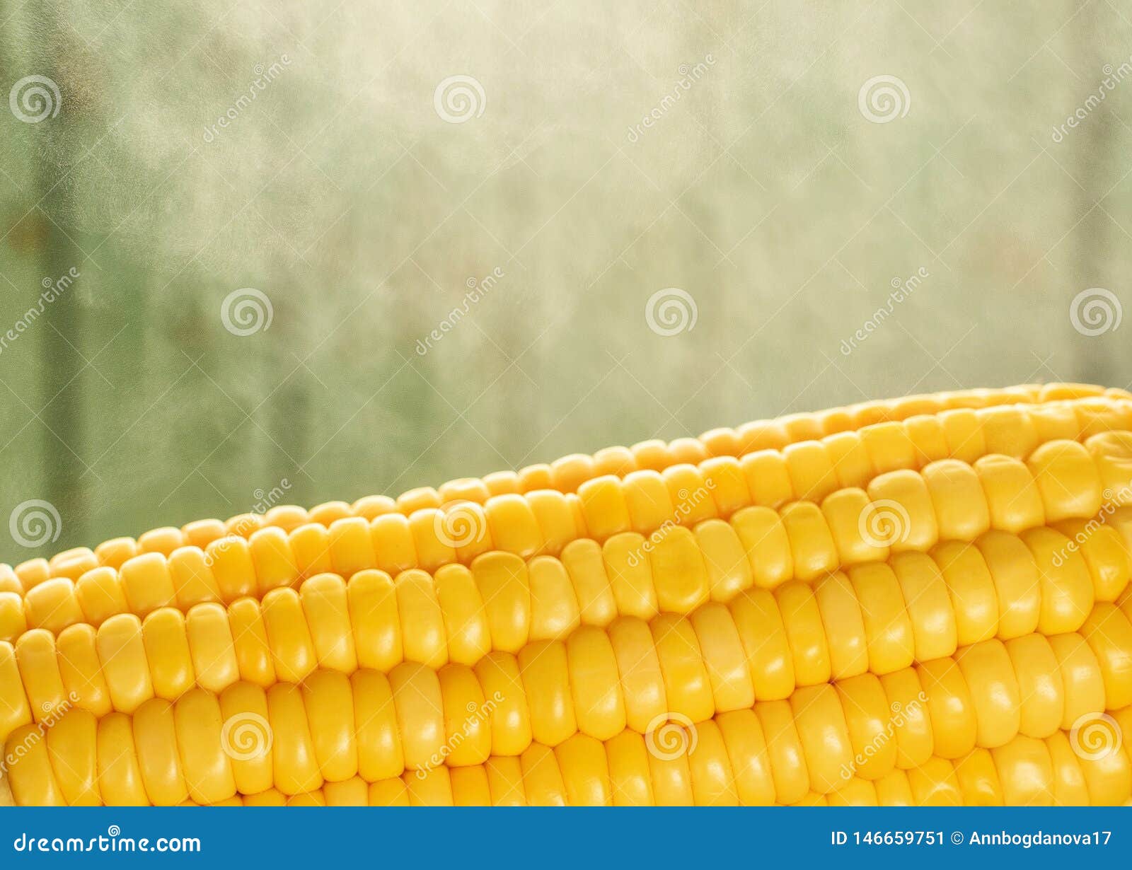 Boiled Corn with Steam Closeup on a Green Background Stock Image ...
