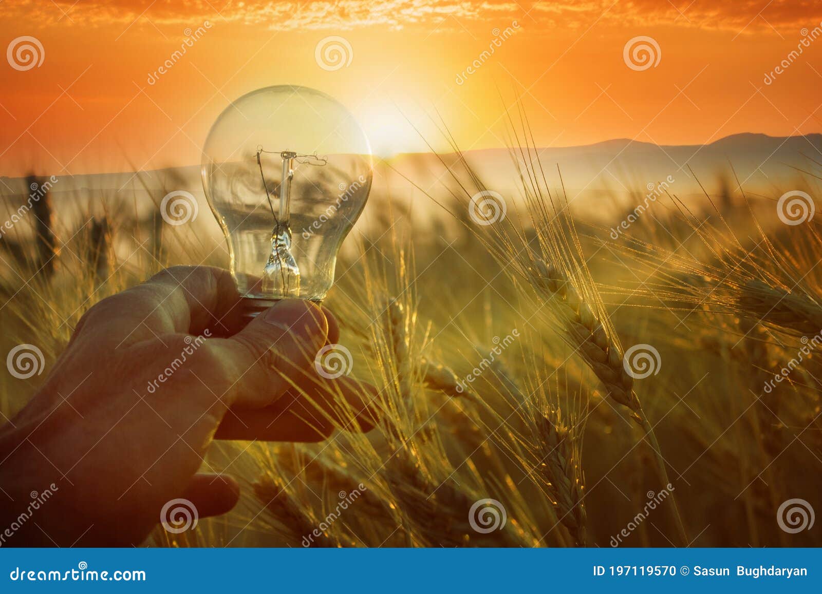 Grain Bread Ideas To Improve the Harvest Stock Photo - Image of energy ...