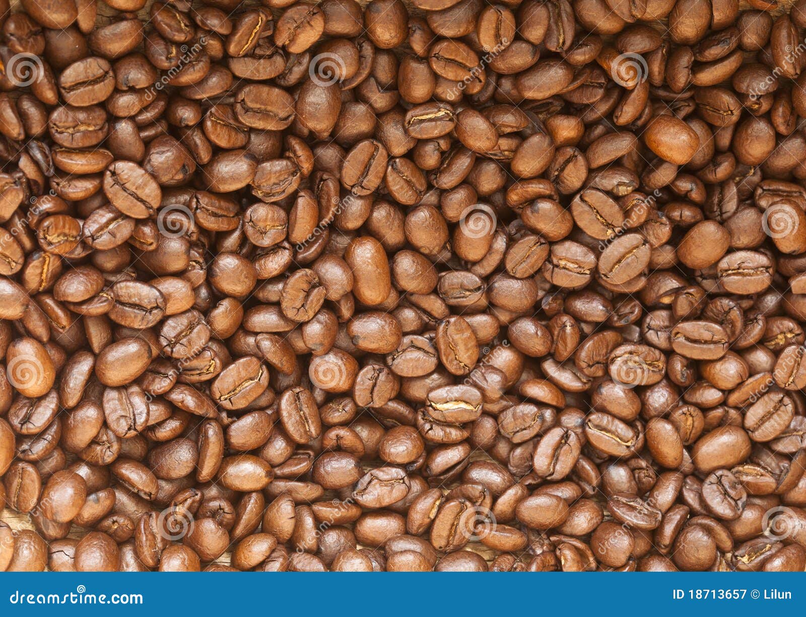 Grain cafe stock image. Image of space, crop, energy - 18713657