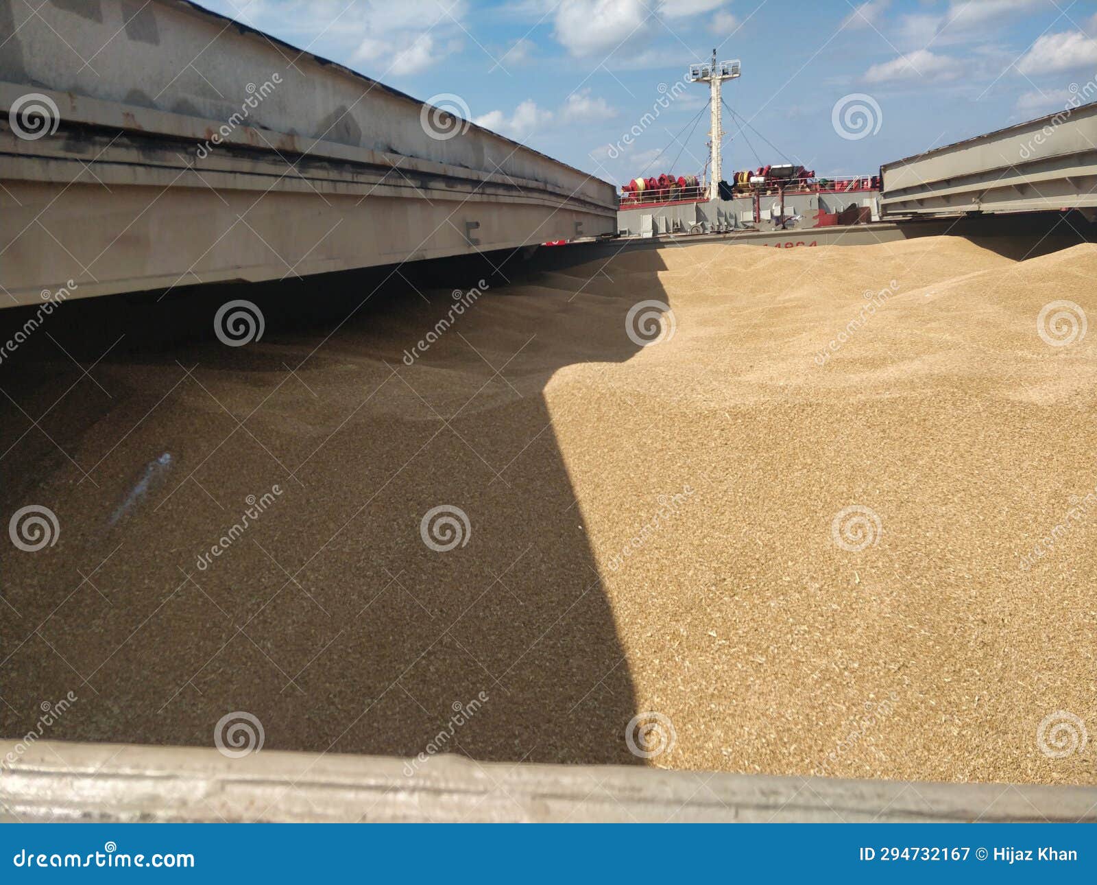 Grain Cargo Fully Loaded the Hold of the Bulk Carrier Ship Stock Image ...