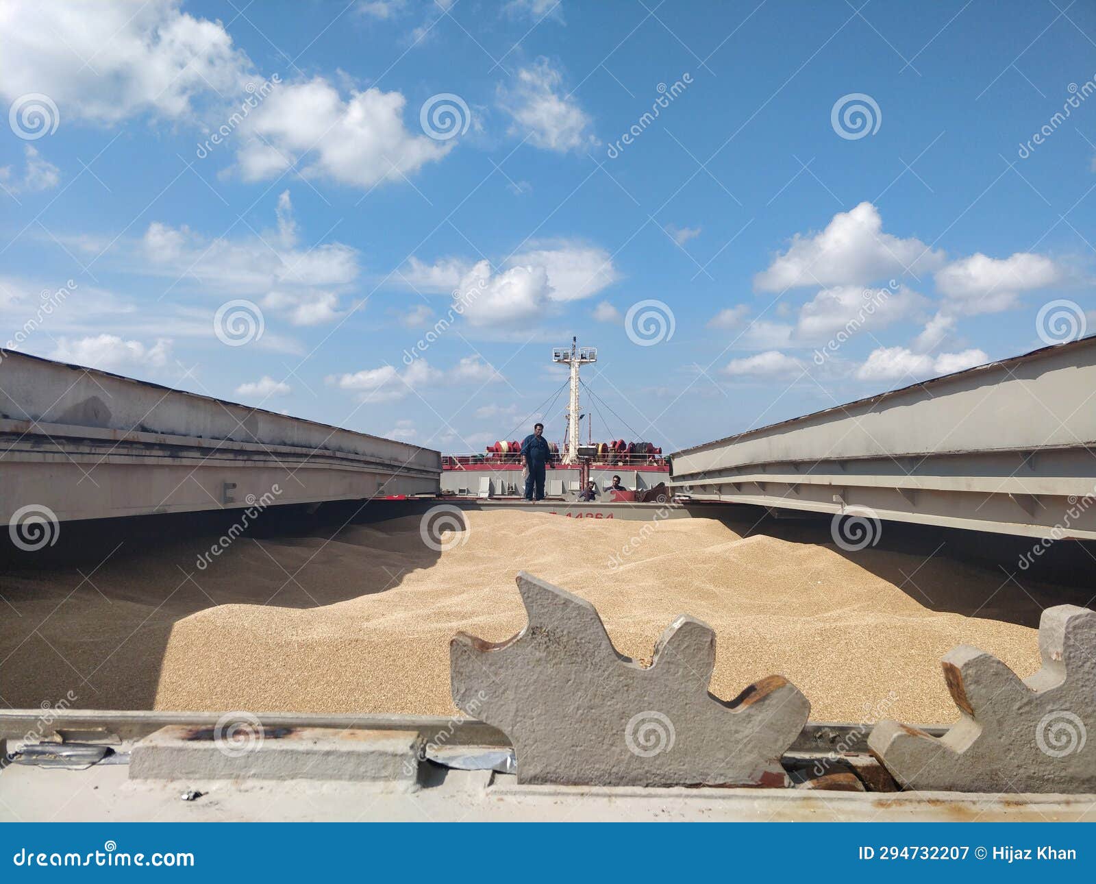 Grain Cargo Fully Loaded the Hold of the Bulk Carrier Ship Stock Image ...