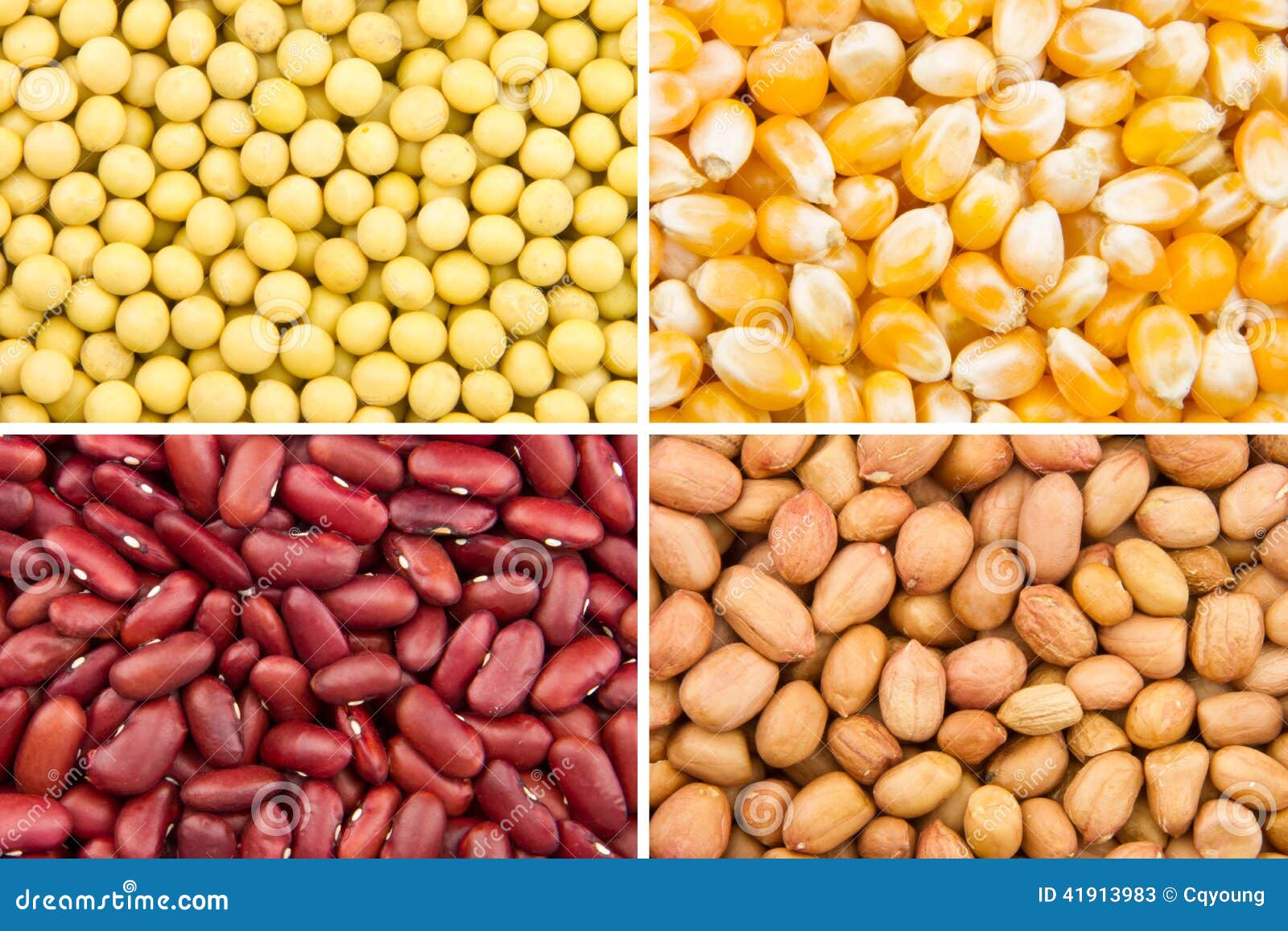 Grain collection stock image. Image of mixture, grain - 41913983