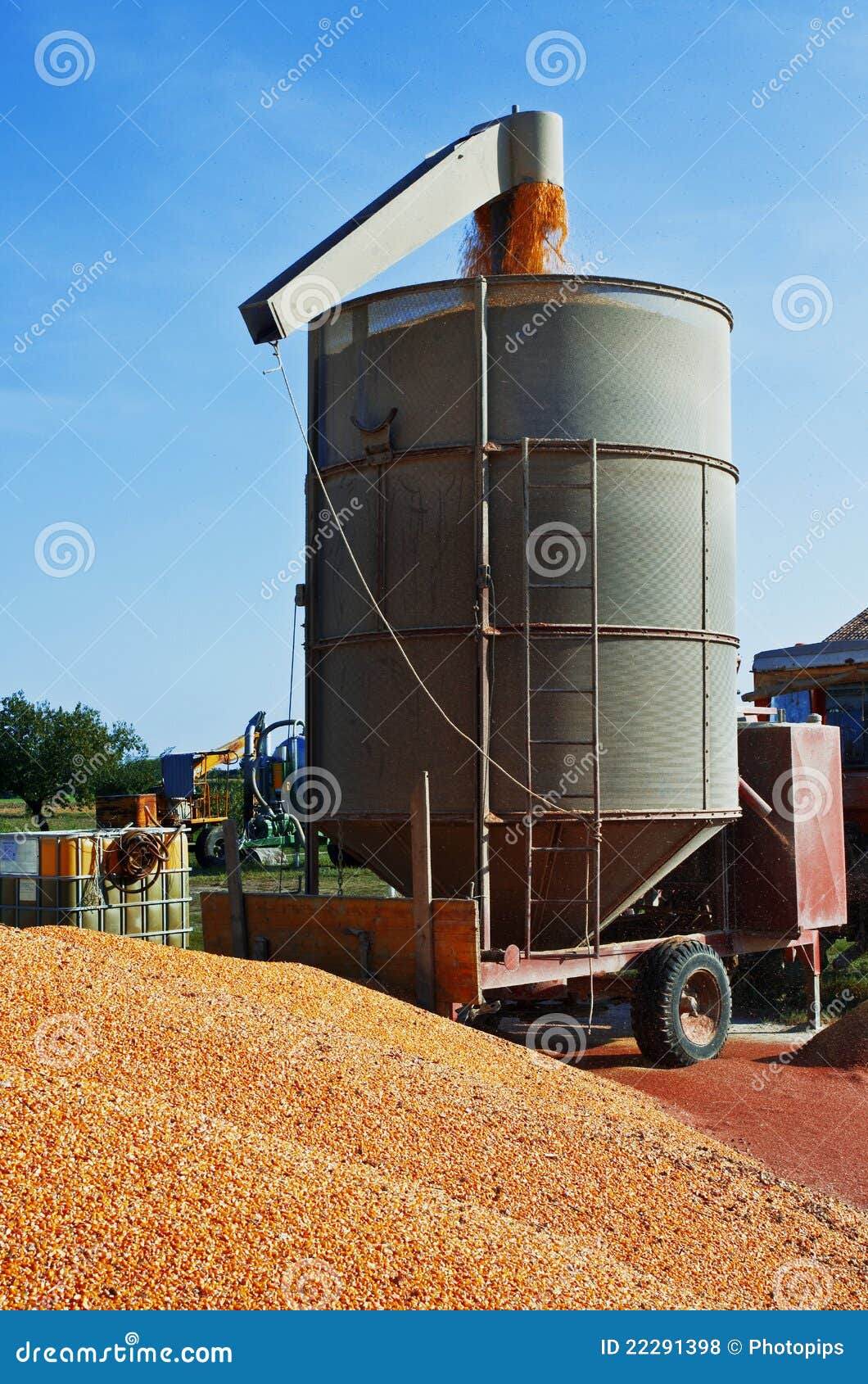 Grain of corn stock photo. Image of farm, autumn, flour - 22291398
