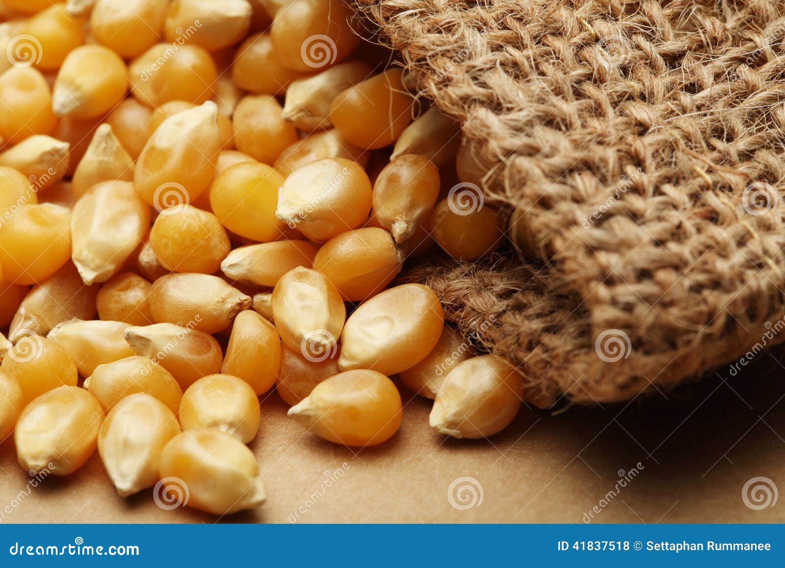 The Grain Corn in Small Sack Stock Photo - Image of maize, pile: 41837518
