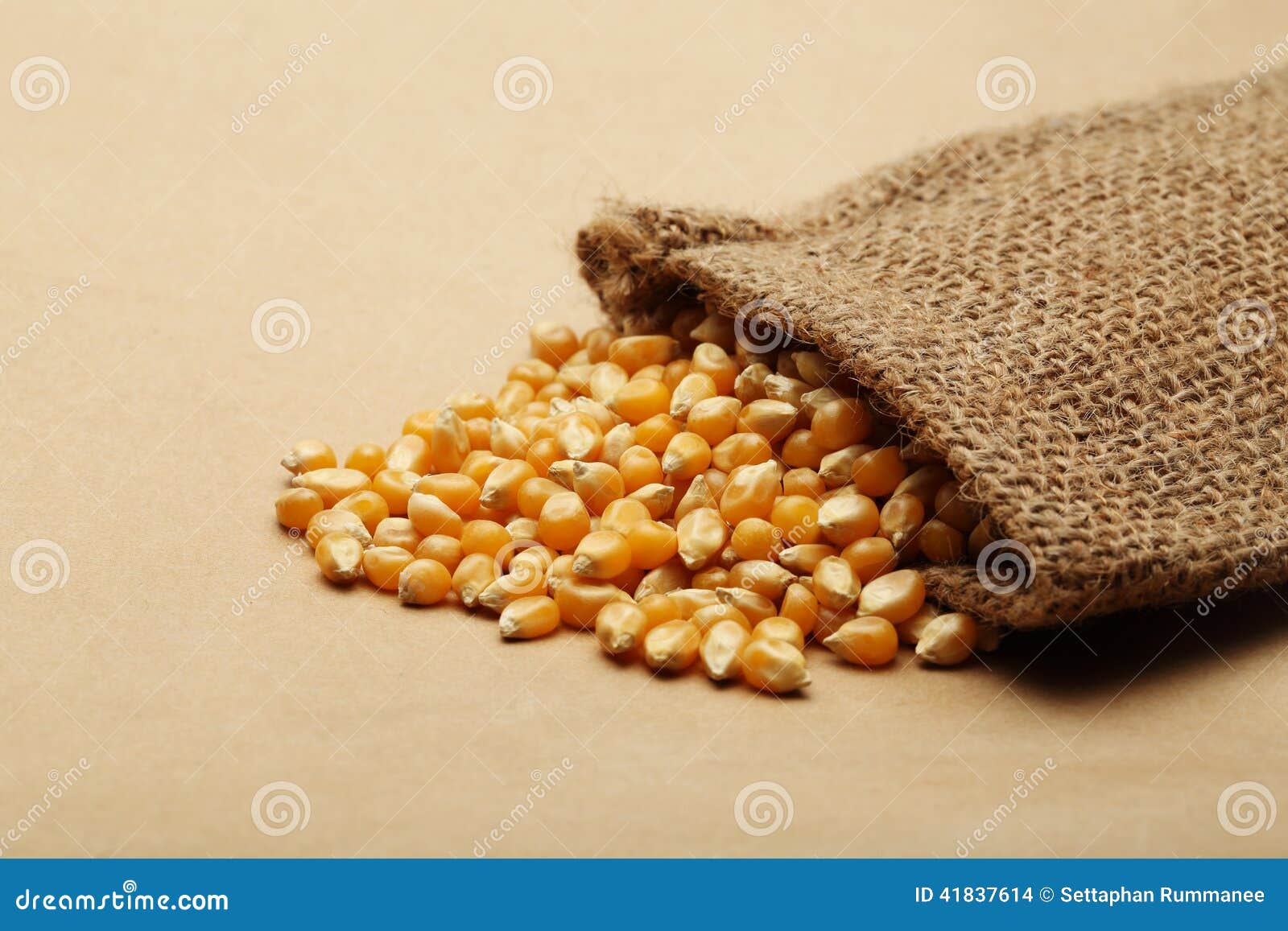 The Grain Corn in Small Sack Stock Photo - Image of jute, corncob: 41837614