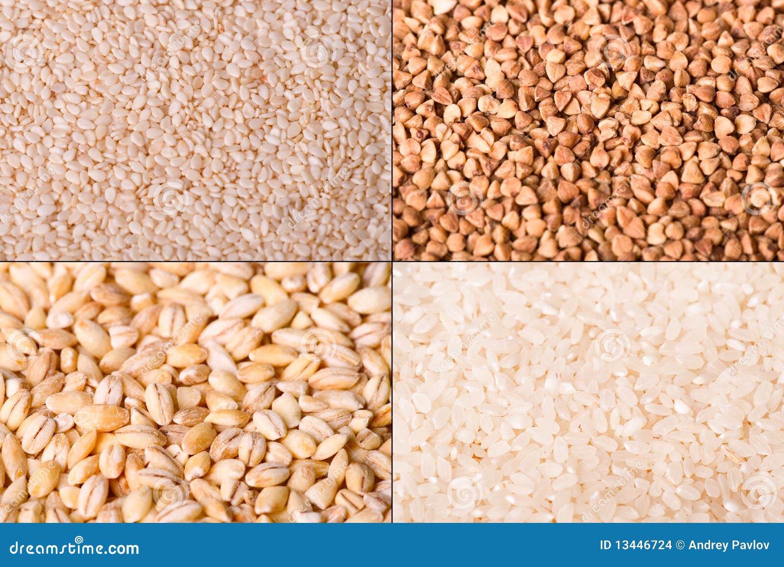 Grain crops background stock photo. Image of cooking - 13446724