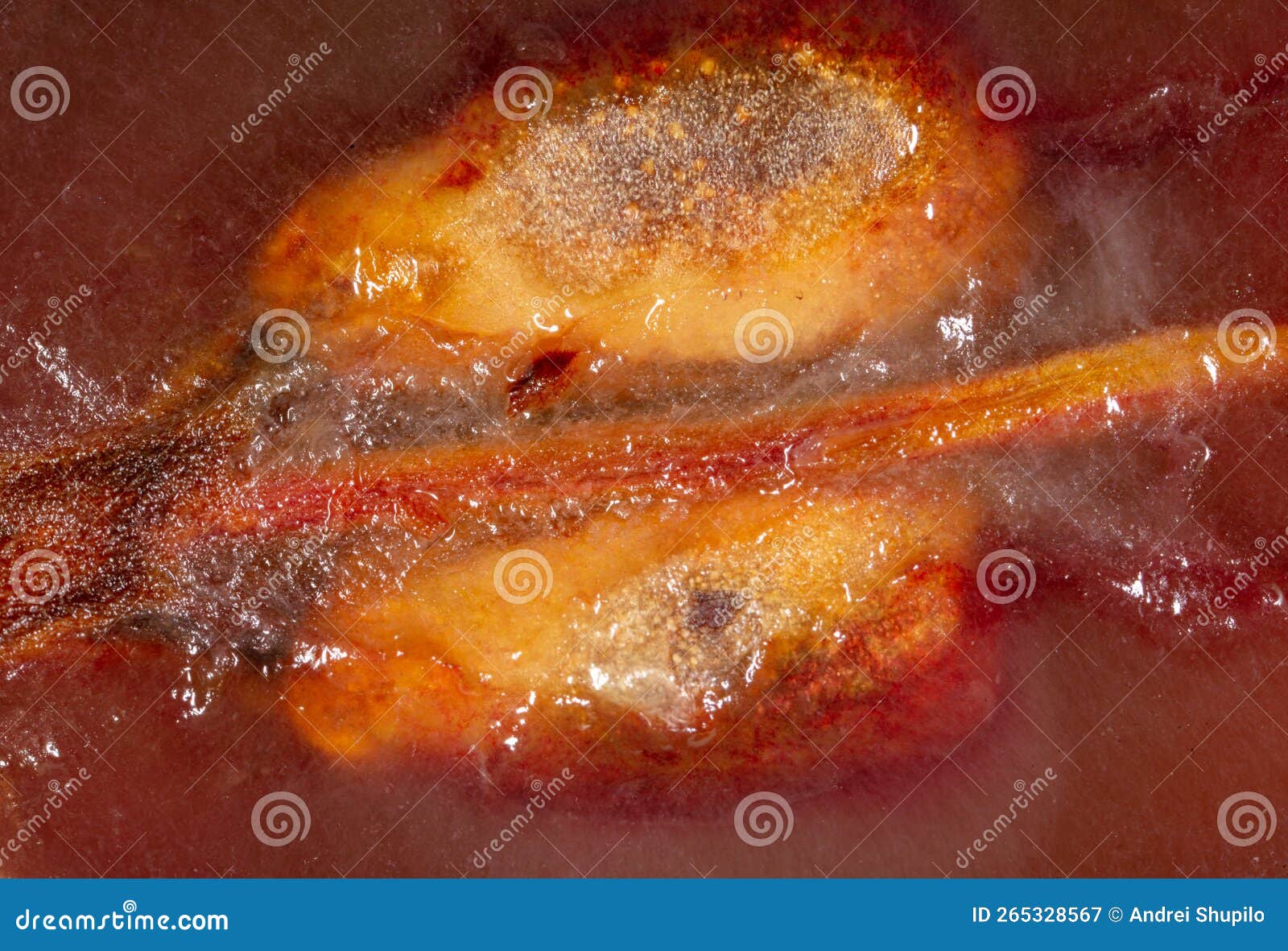 A Grain in a Cut Red Grape As a Background. Stock Image - Image of ...