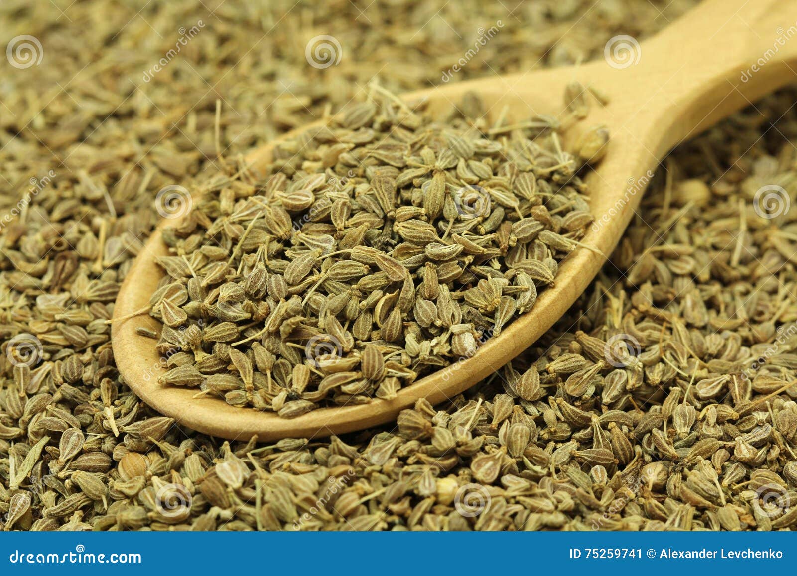 Grain Dried Anise in a Wooden Spoon Stock Image - Image of essential ...