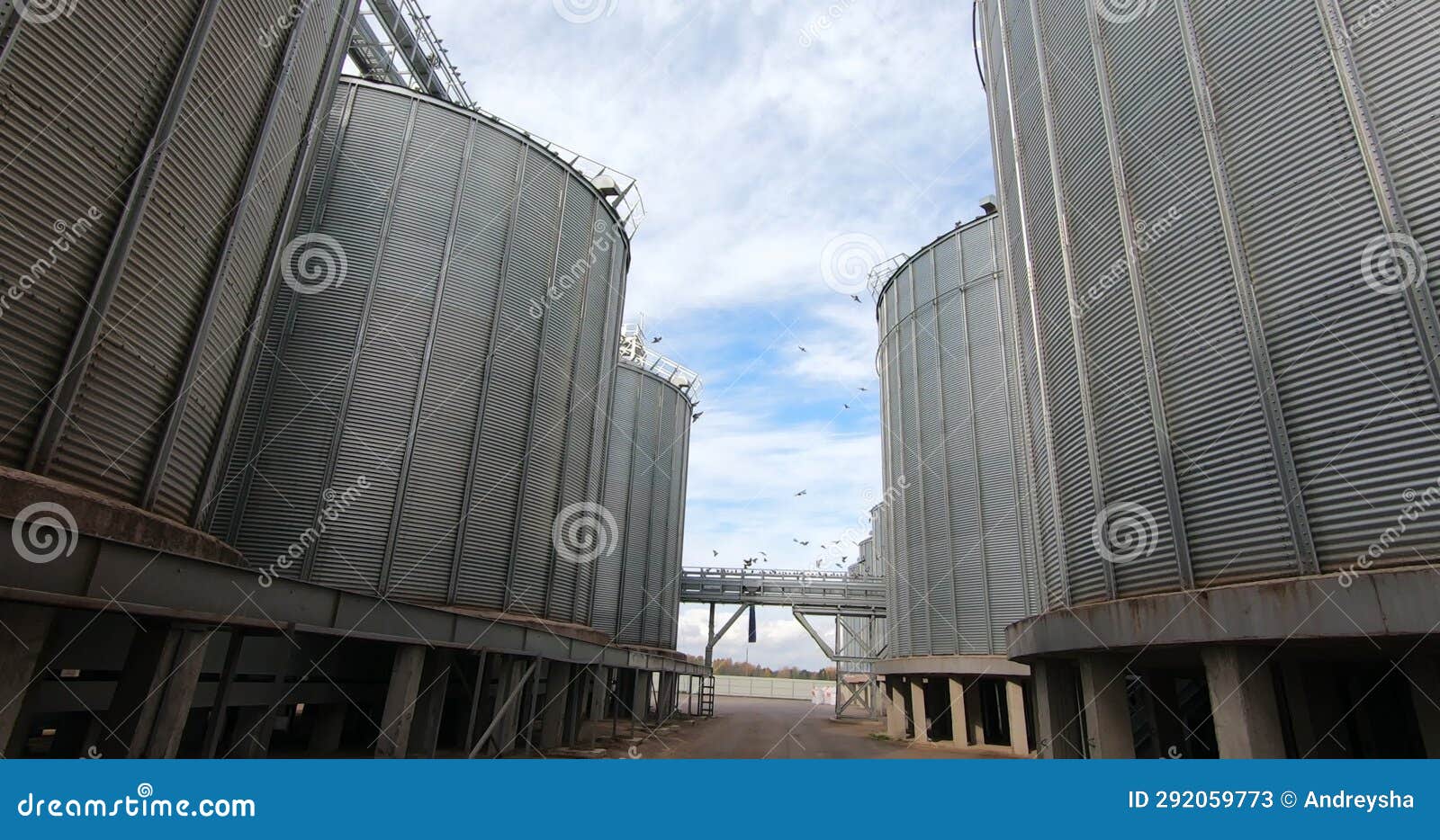 Grain Dryer Containers. a Plant for Processing and Harvesting Animal ...