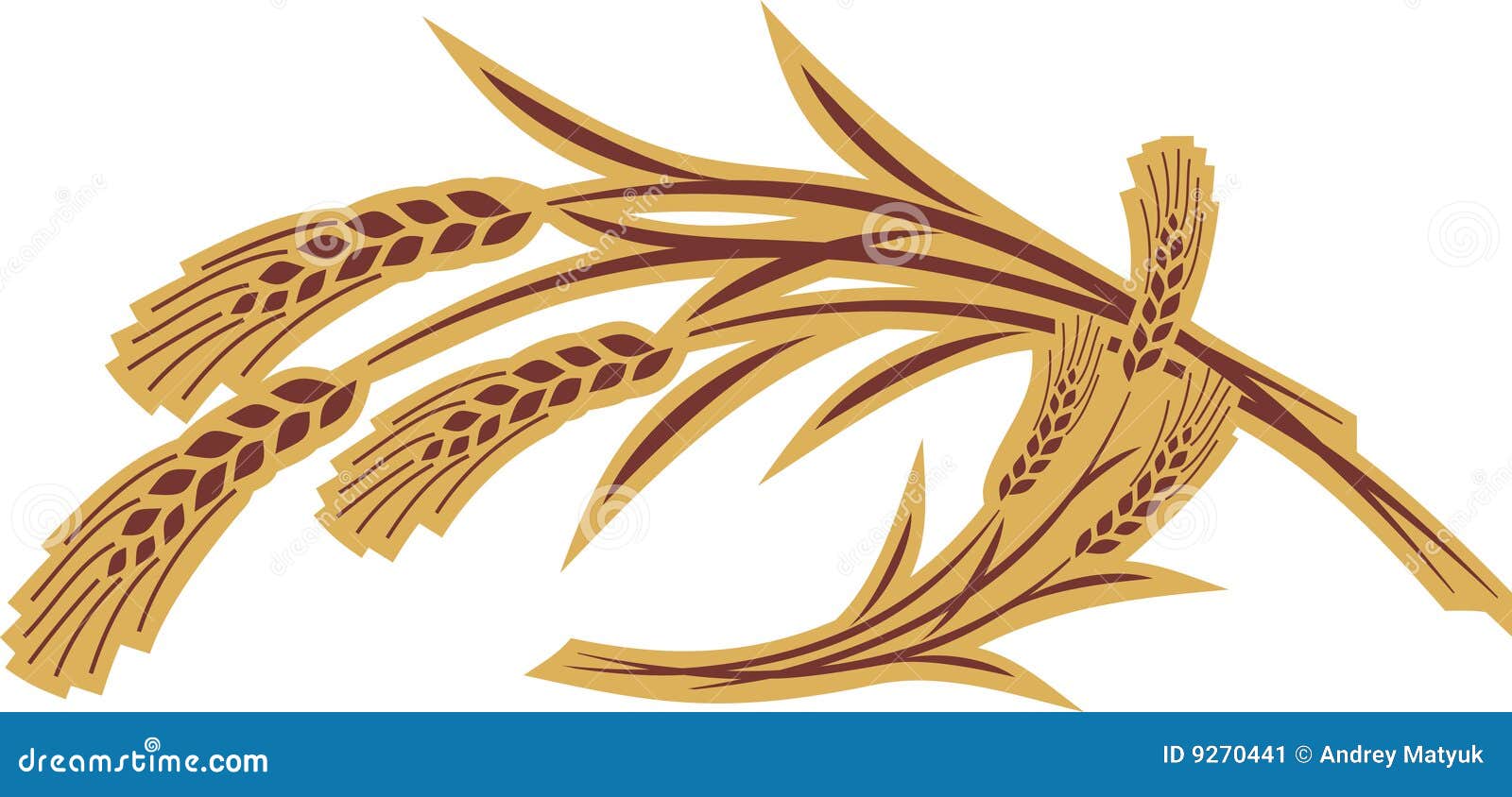 Grain ears stock vector. Illustration of design, cultivate - 9270441