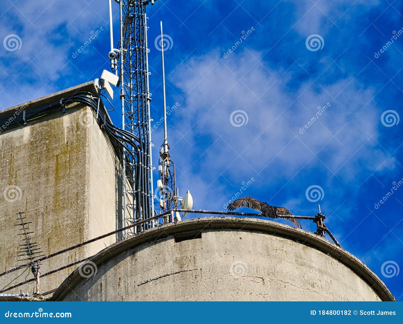 Grain Elevator with Bird on Top Stock Photo - Image of structure ...
