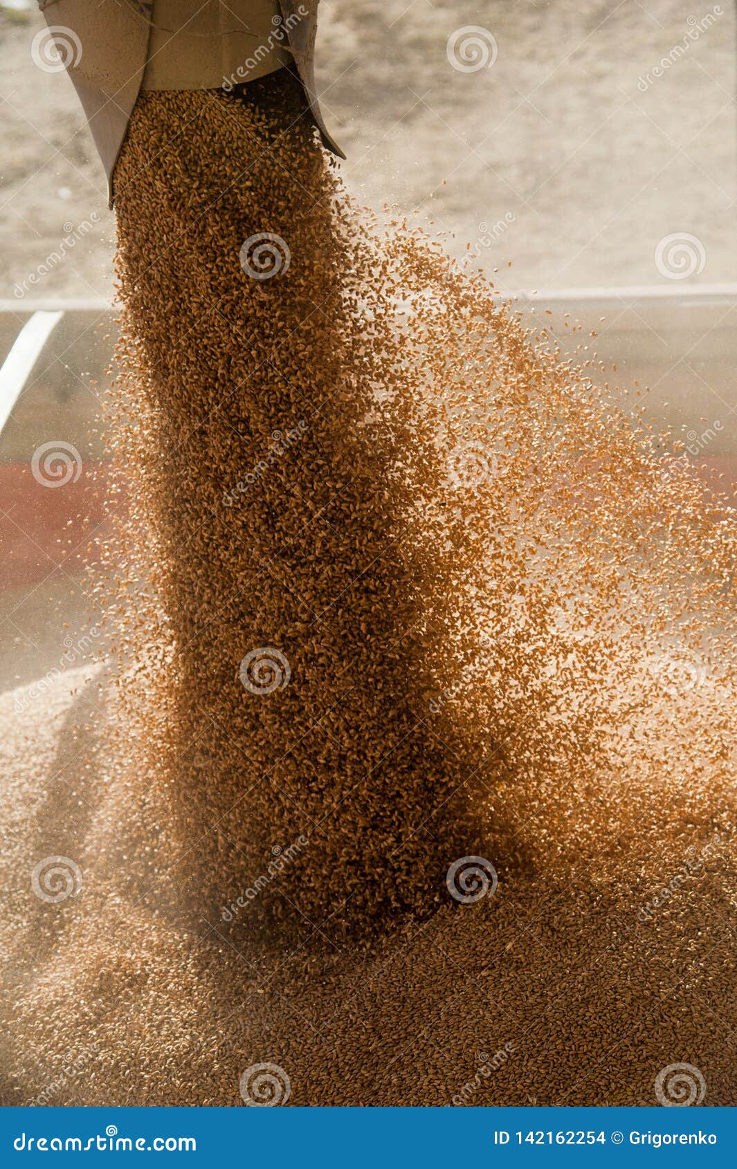 Grain Elevator. Storage and Loading of Grain Stock Photo - Image of ...