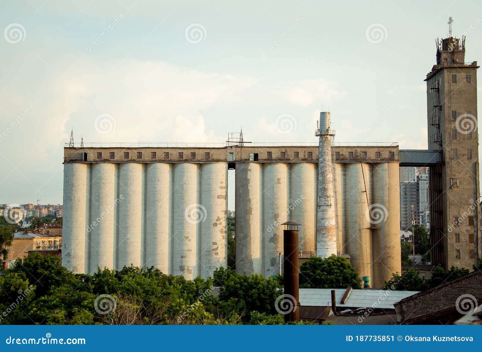 Grain Elevators for Storing Oilseeds and Grains. a View of the ...