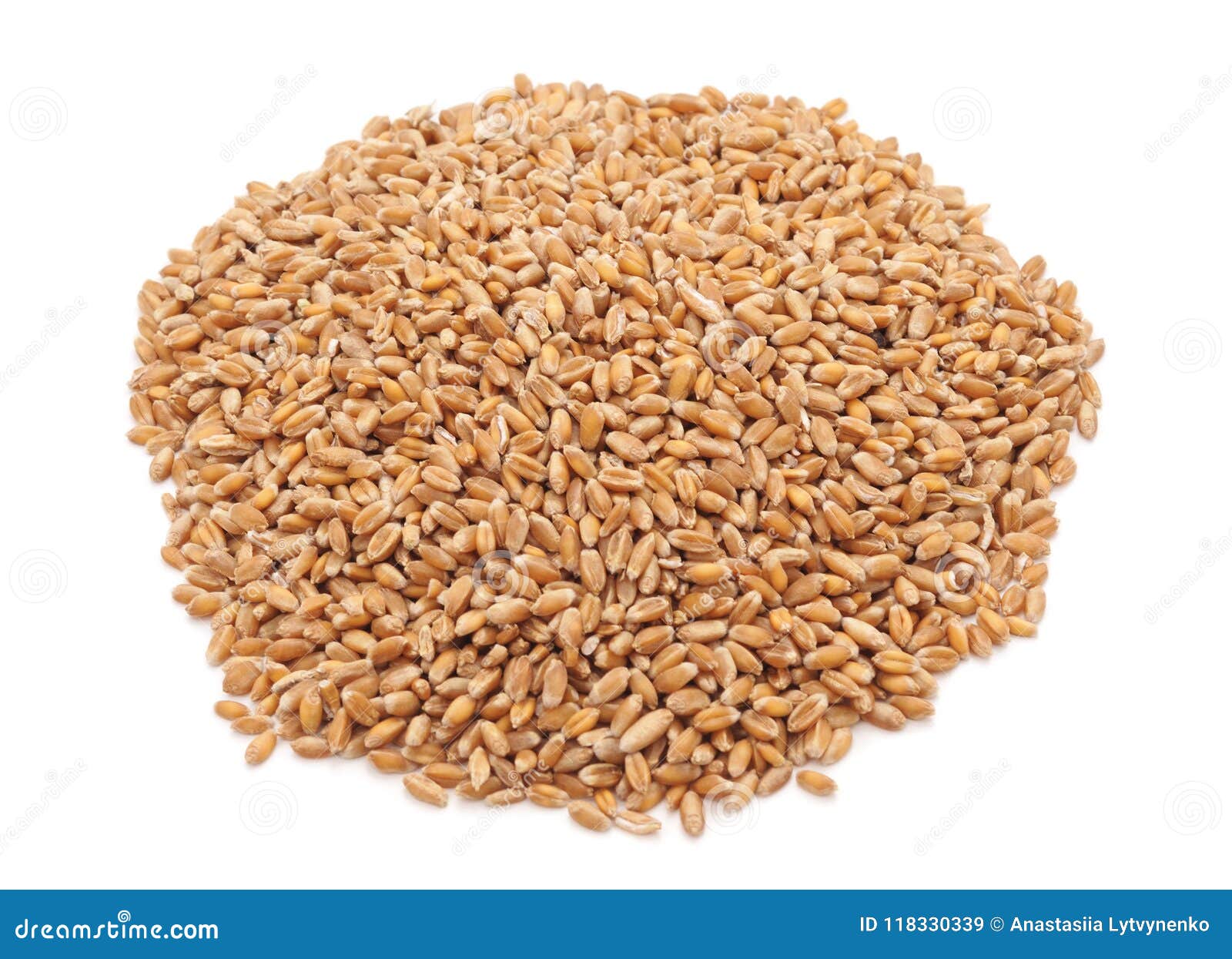 Grain entier de blé image stock. Image of blanc, sécher - 118330339