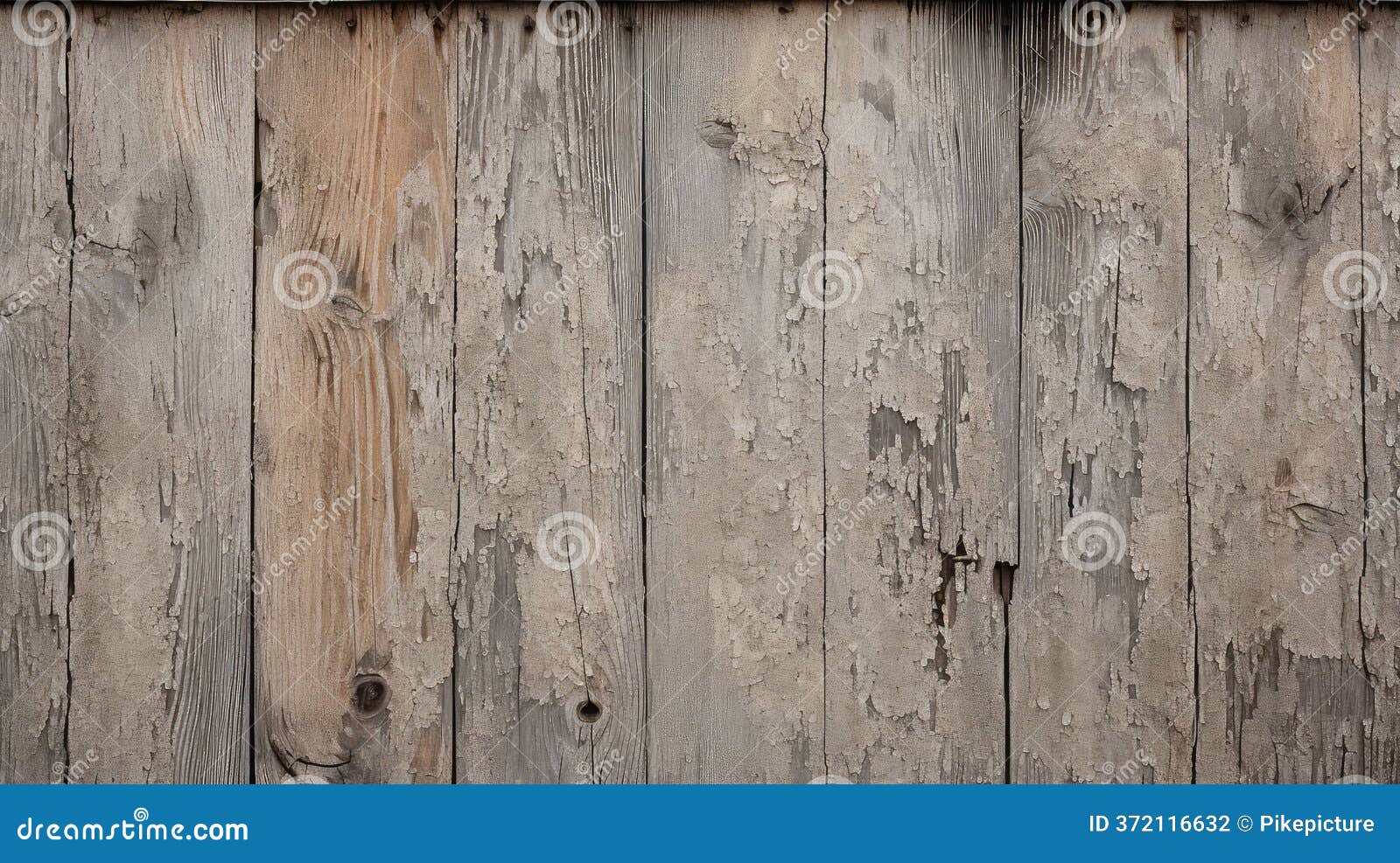 Grain Farm Texture Royalty-Free Cartoon | CartoonDealer.com #343548674