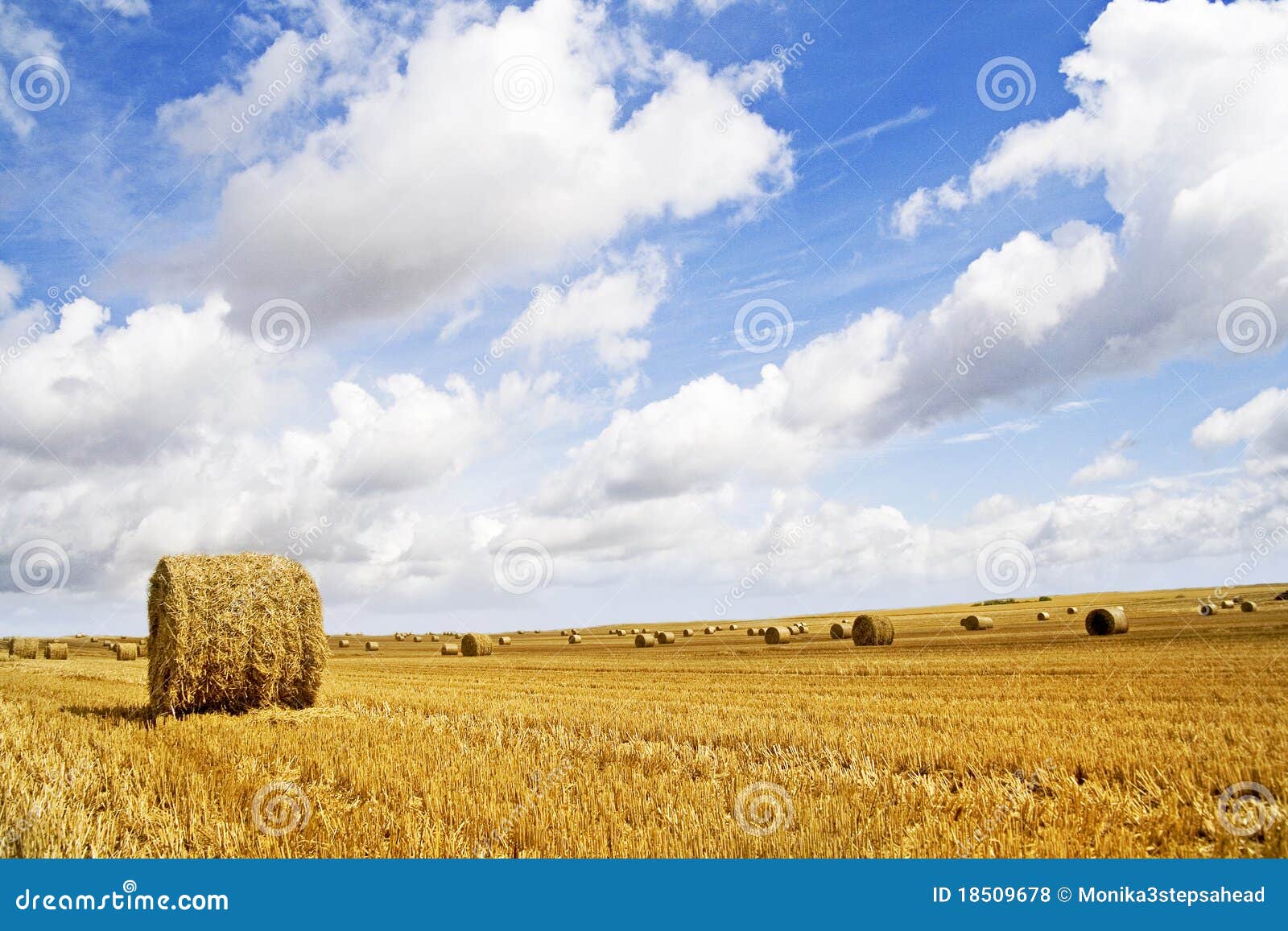 Grain Field - Autumn Landscape Stock Photo - Image of grassland, grain ...