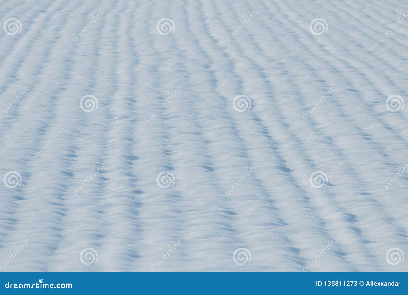 Grain Field Snow Covered. Agriculture Field Under Snow Stock Image ...