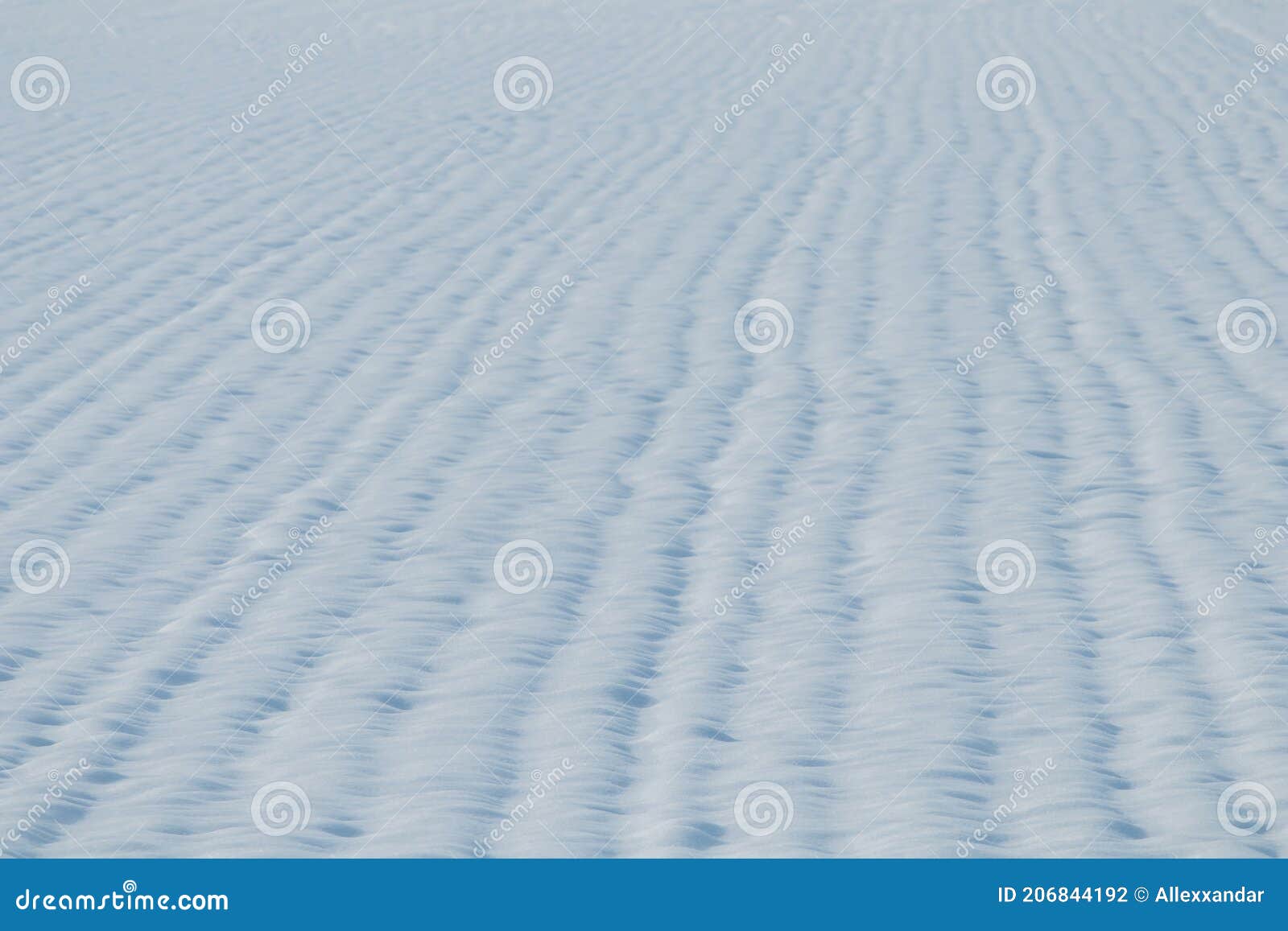 Grain Field Snow Covered. Agriculture Field Under Snow Stock Photo ...